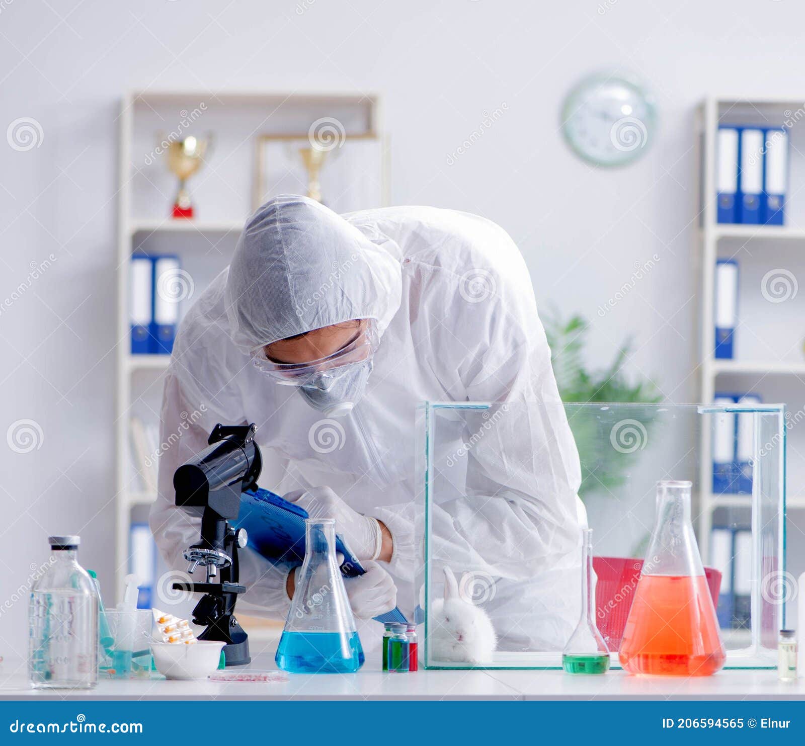Scientist Doing Animal Experiment in Lab with Rabbit Stock Image ...