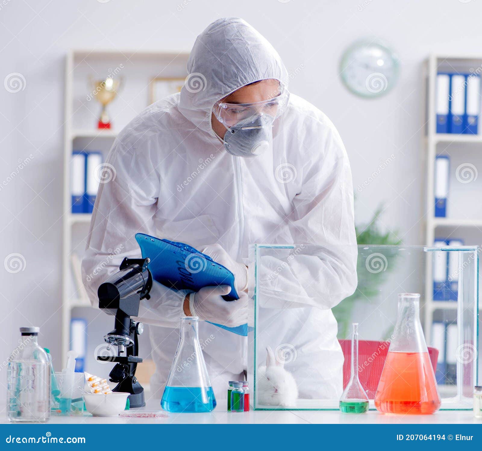 Scientist Doing Animal Experiment in Lab with Rabbit Stock Photo ...