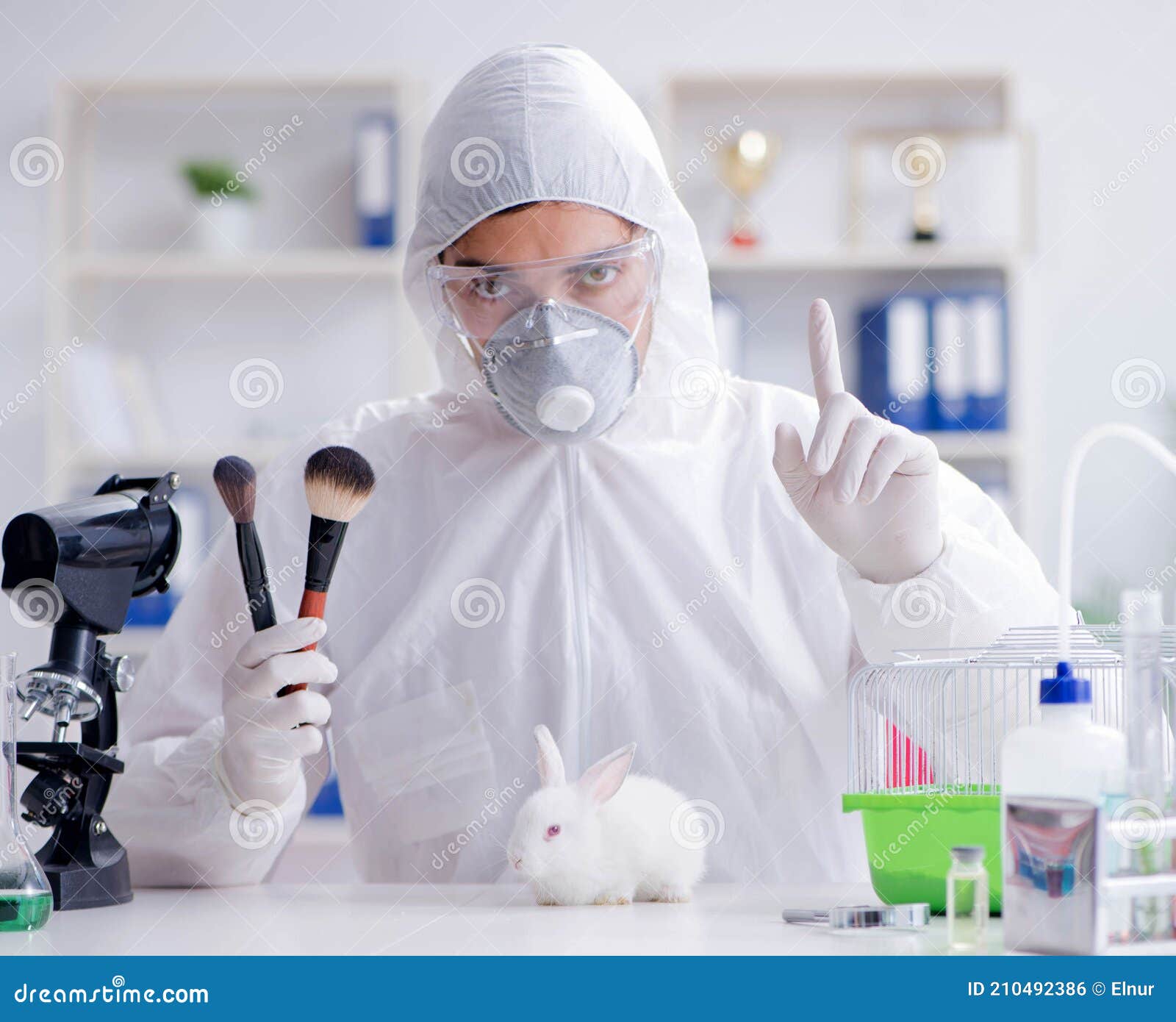 Scientist Doing Animal Experiment in Lab with Rabbit Stock Photo ...
