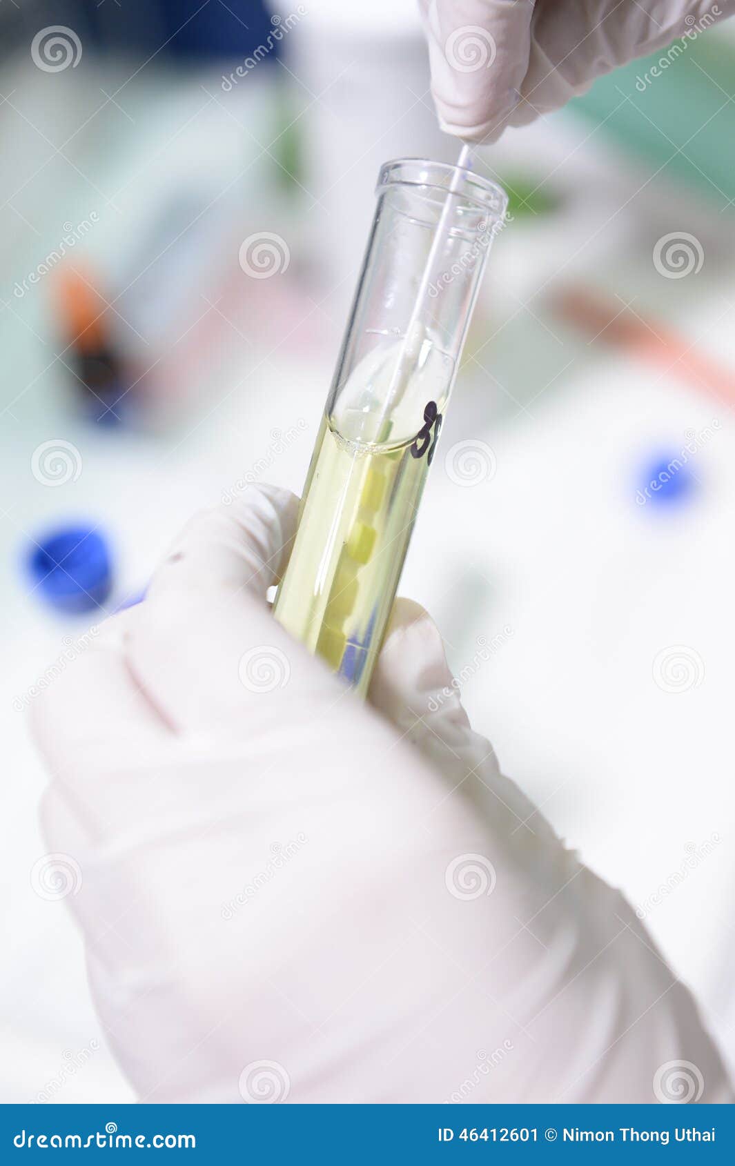 Scientist Doing Chemical Test Stock Image - Image of biology, blood ...