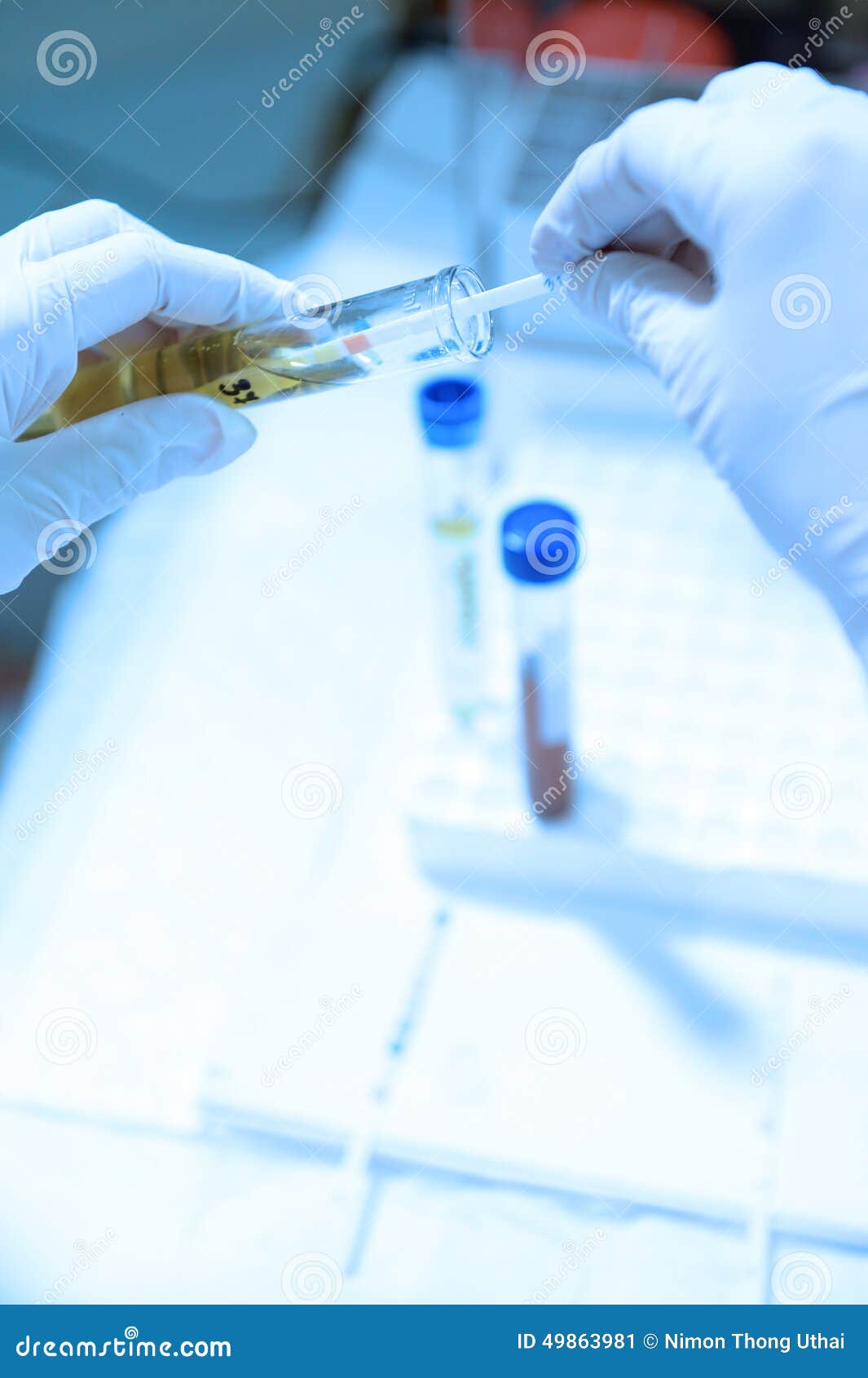 Scientist Doing Chemical Test in Laboratory Stock Image - Image of ...