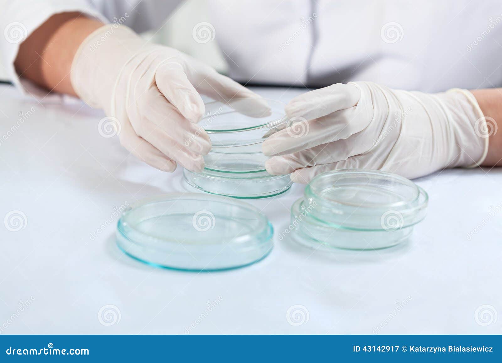 Scientist before Doing Experiment Stock Image - Image of bacterium ...