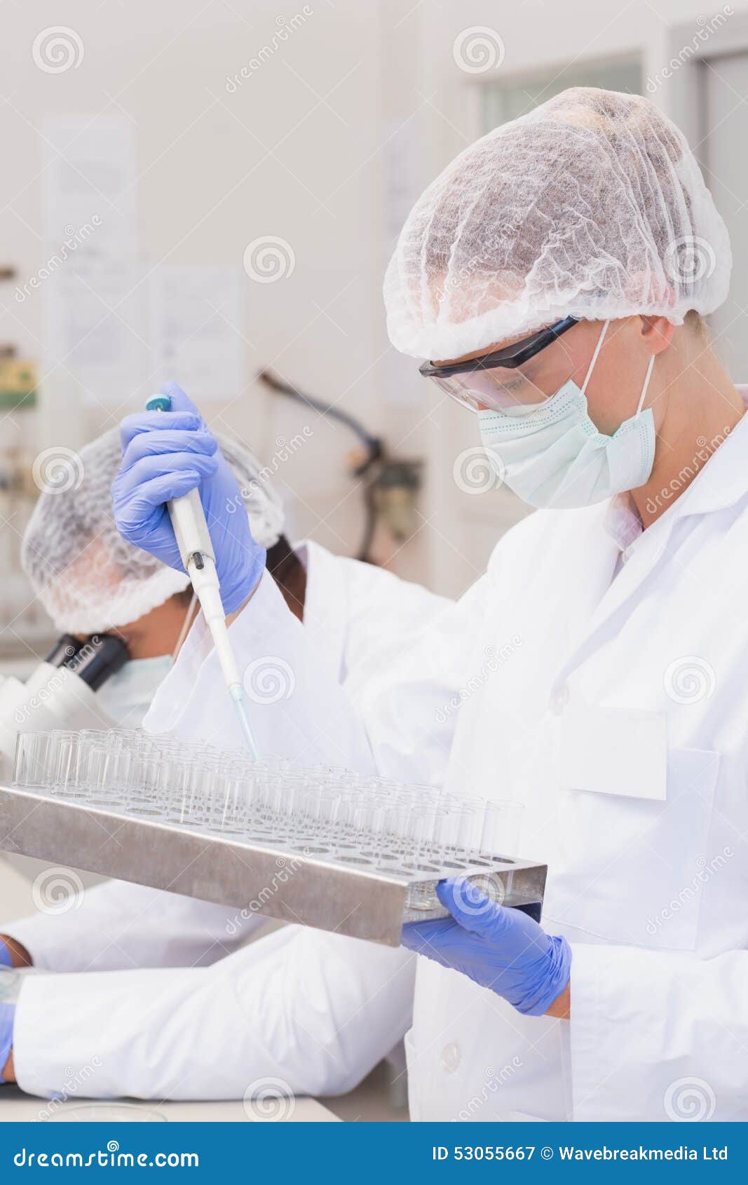 Scientist Doing Experimentations in Tubes Stock Image - Image of female, glass: 53055667