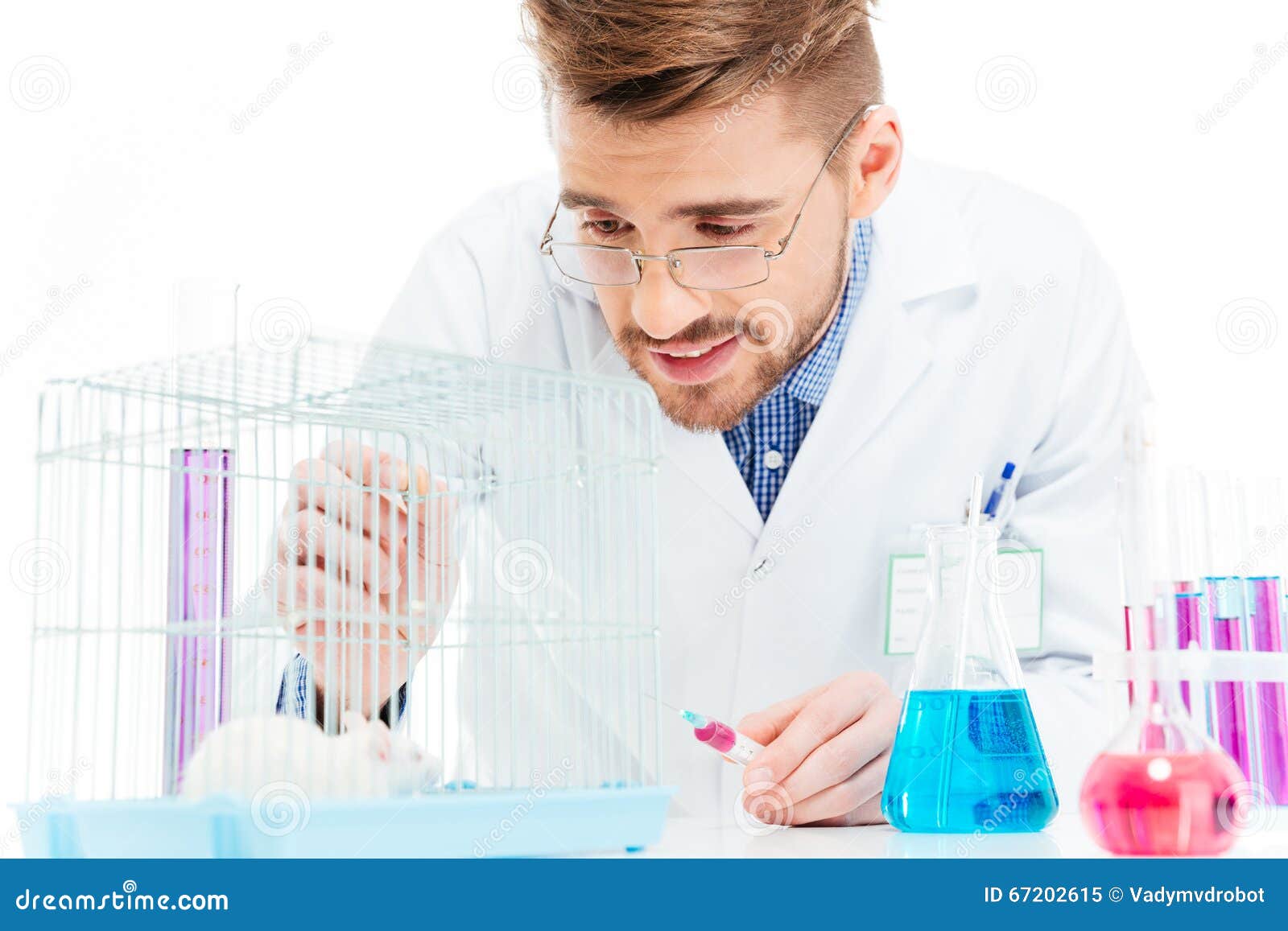 Scientist Doing Experiments with Rat Stock Image - Image of development ...