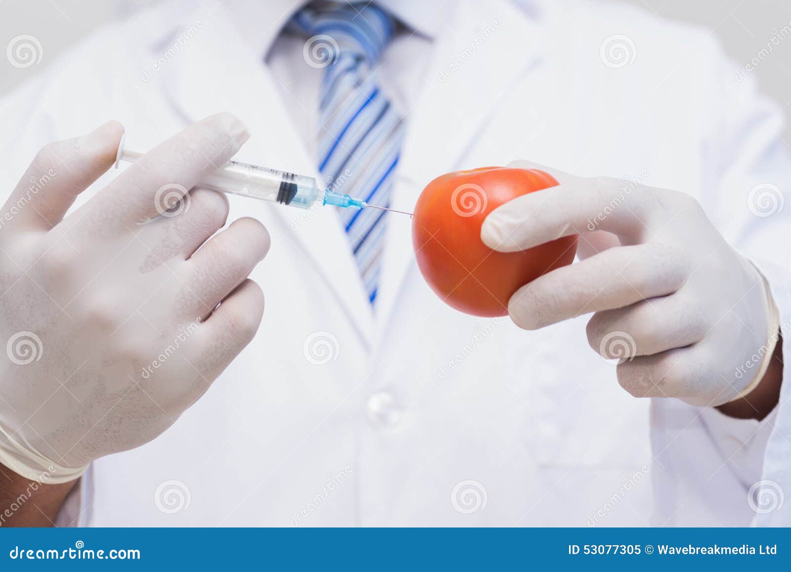 Scientist Doing Injection To Tomato Stock Image - Image of science ...