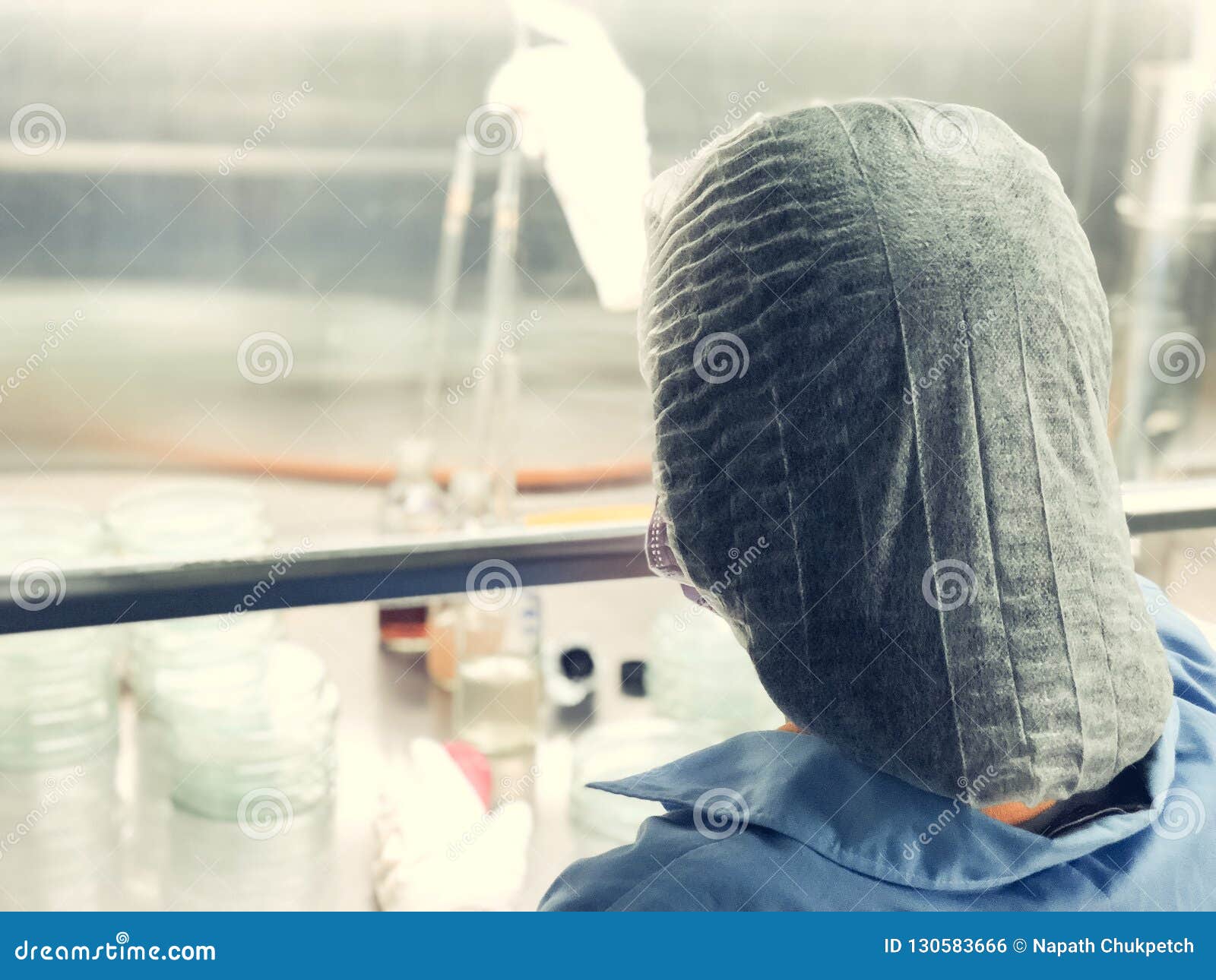 Scientist Doing the Microbiology Testing in Laminar Air Flow Cabinet at ...