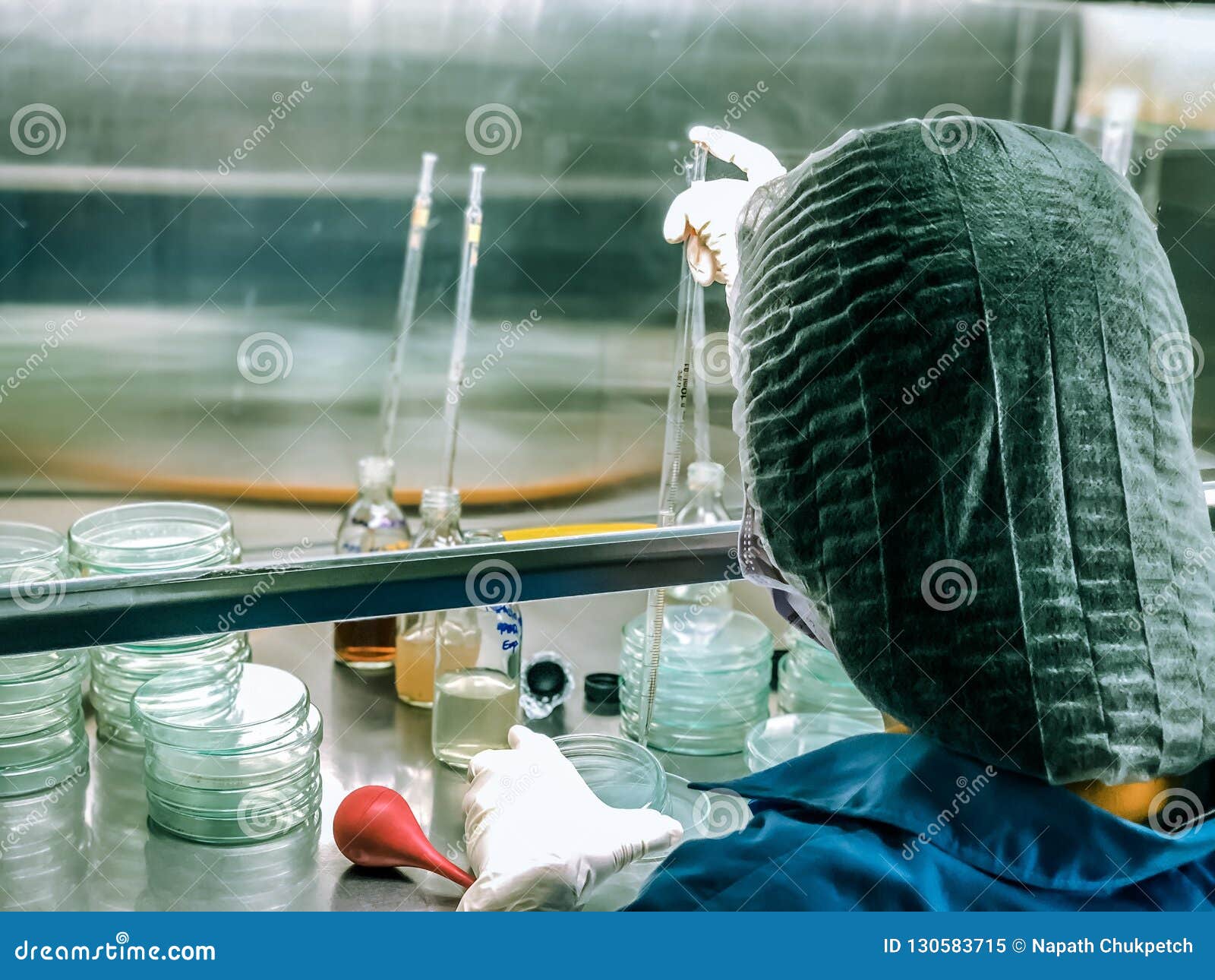 Scientist Doing the Microbiology Testing in Laminar Air Flow Cabinet at ...