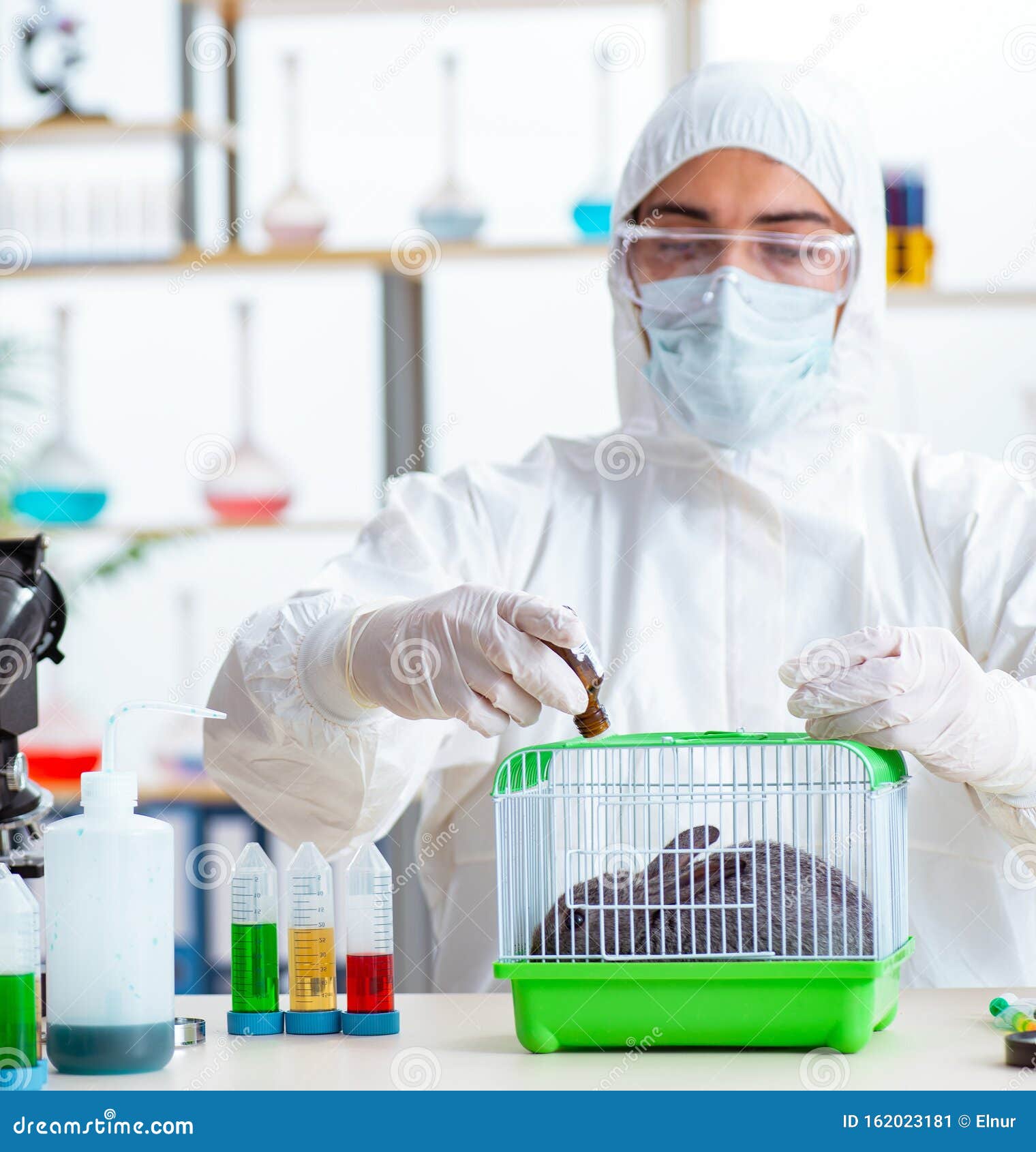 Scientist Doing Testing on Animals Rabbit Stock Image - Image of ...