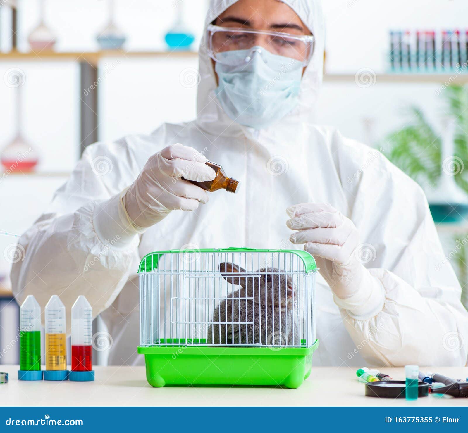 Scientist Doing Testing on Animals Rabbit Stock Image - Image of ...