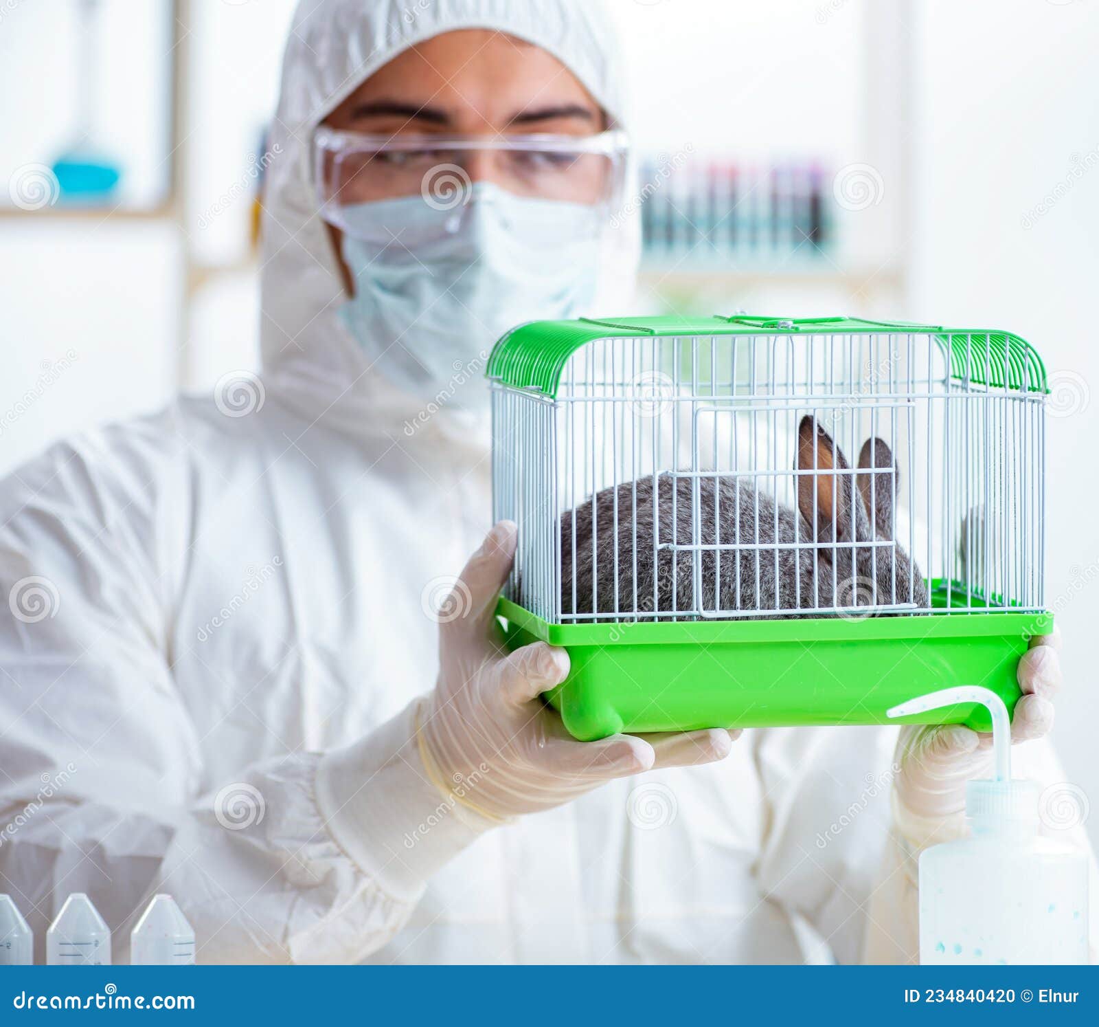 Scientist Doing Testing on Animals Rabbit Stock Photo - Image of ...