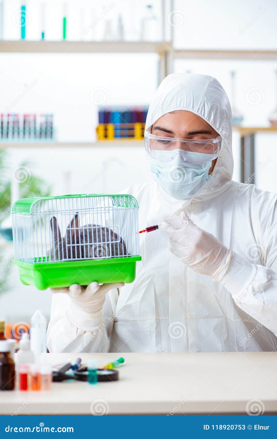 The Scientist Doing Testing on Animals Rabbit Stock Image - Image of ...