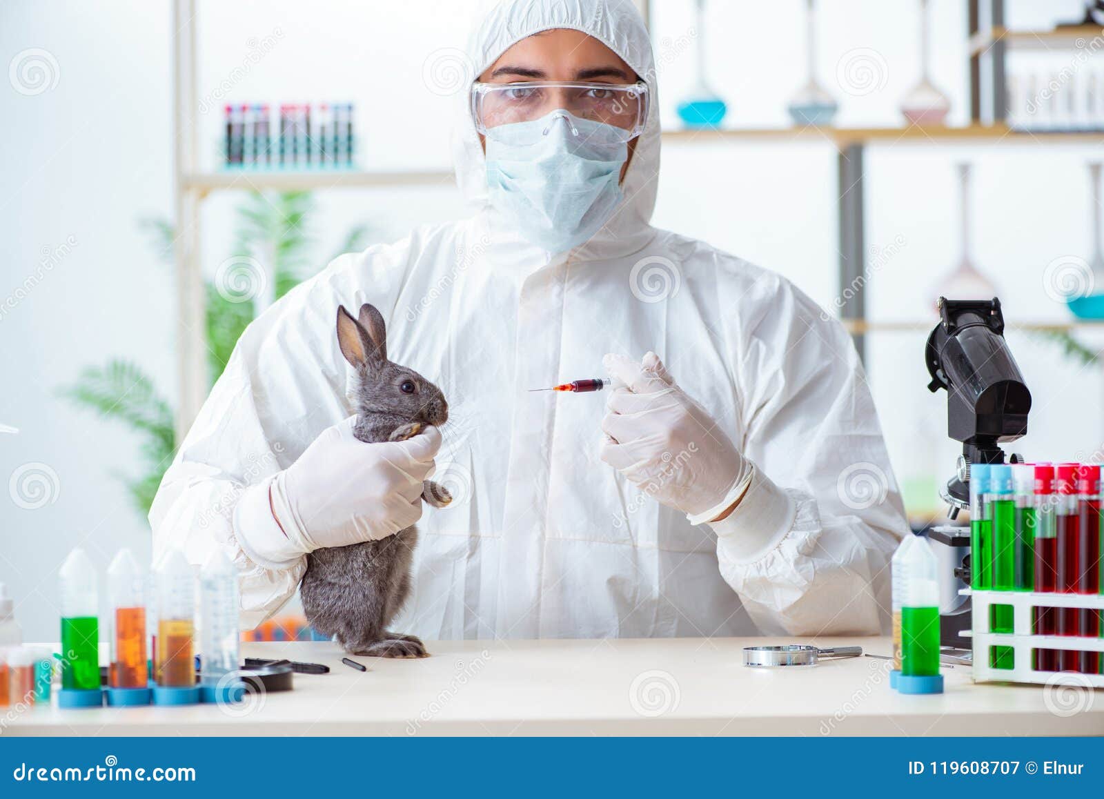 The Scientist Doing Testing on Animals Rabbit Stock Image - Image of ...