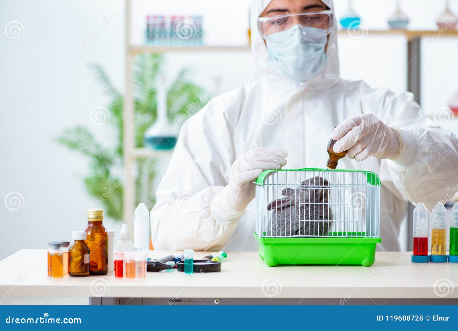 The Scientist Doing Testing on Animals Rabbit Stock Photo - Image of ...