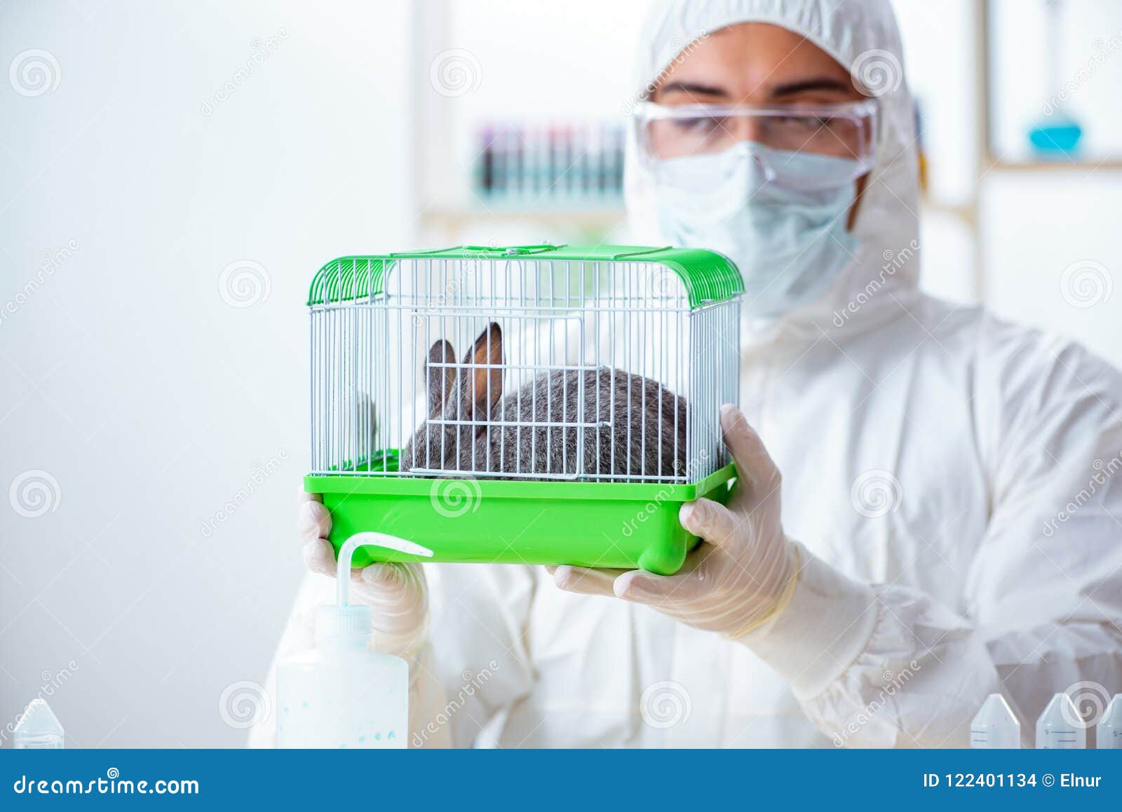 The Scientist Doing Testing on Animals Rabbit Stock Photo - Image of ...
