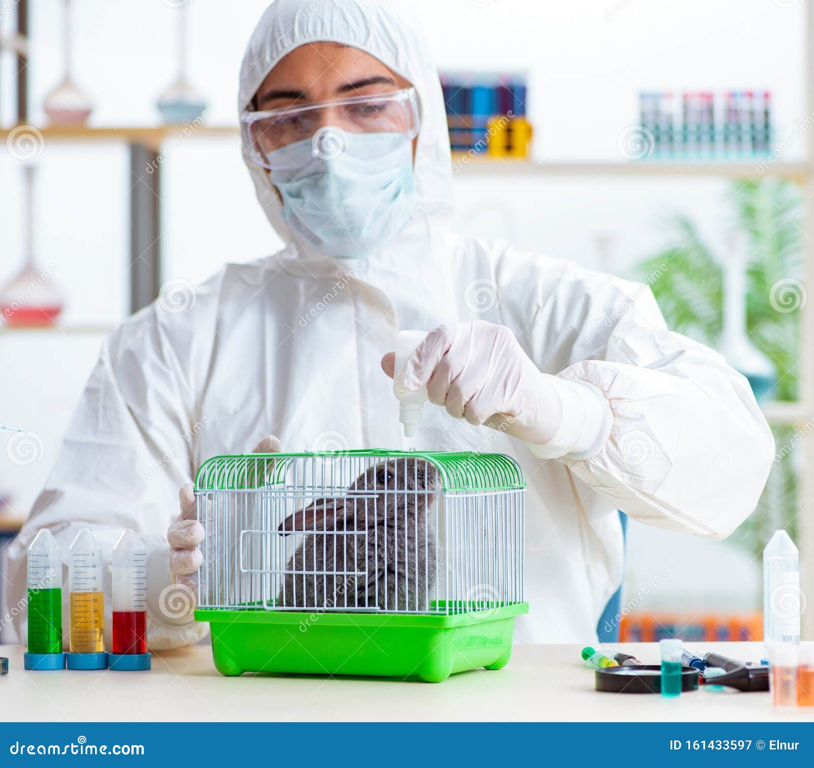 Scientist Doing Testing on Animals Rabbit Stock Image - Image of ...