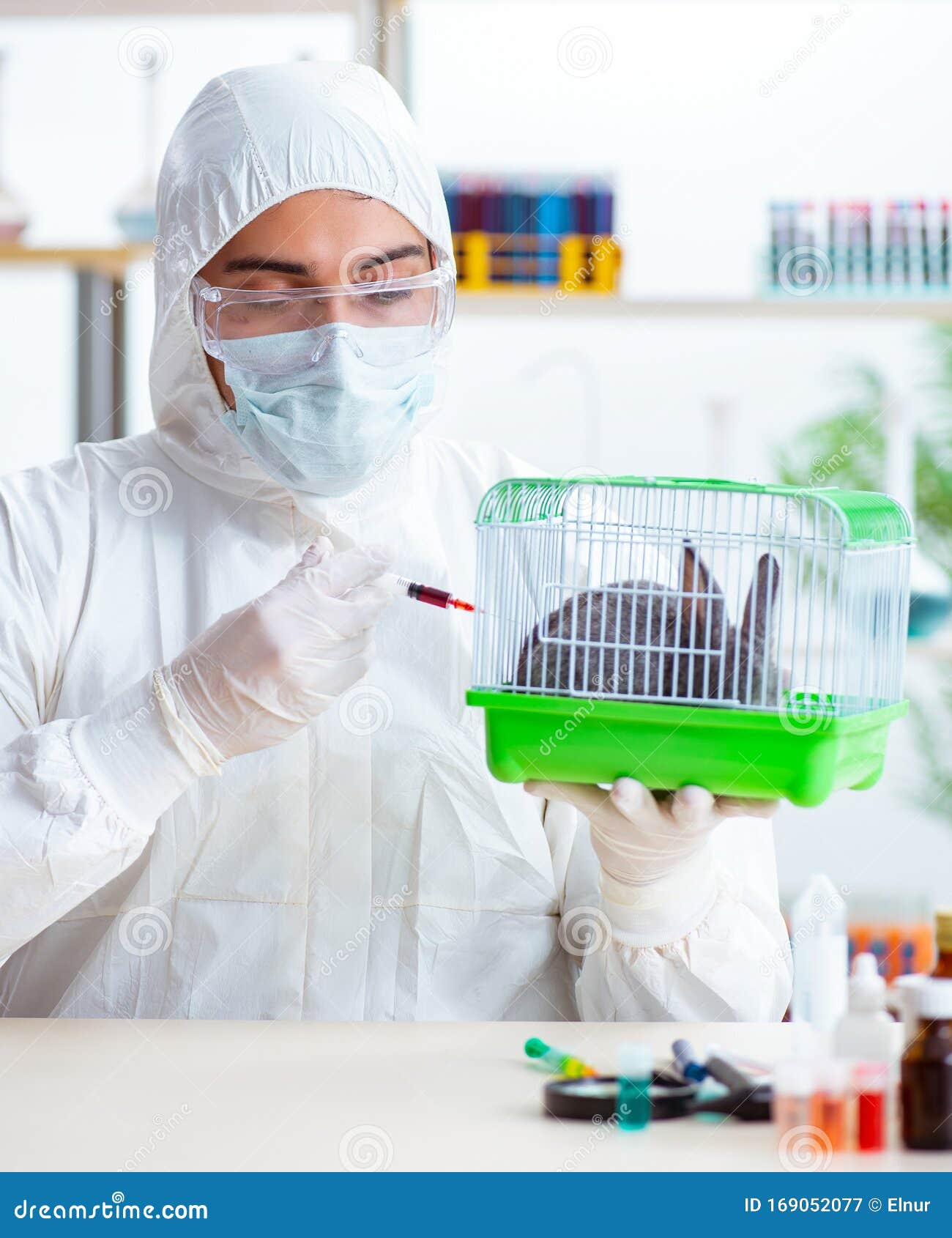 Scientist Doing Testing on Animals Rabbit Stock Image - Image of doctor ...