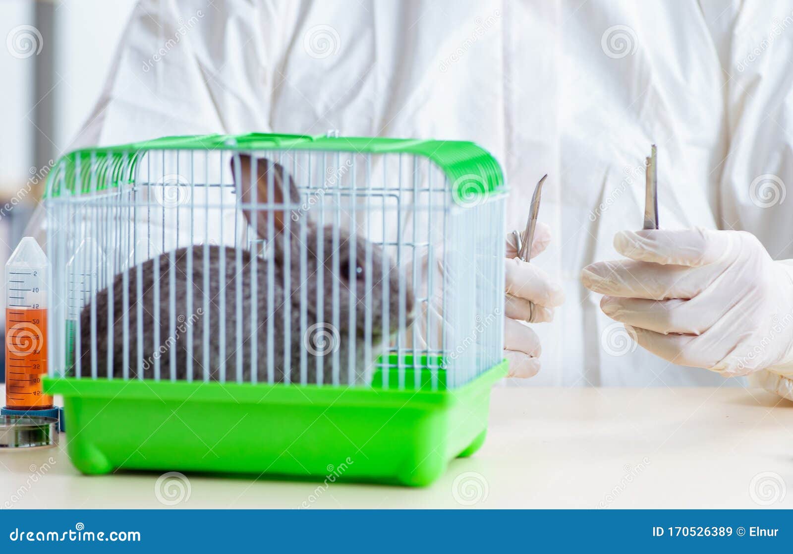 Scientist Doing Testing on Animals Rabbit Stock Image - Image of doctor ...