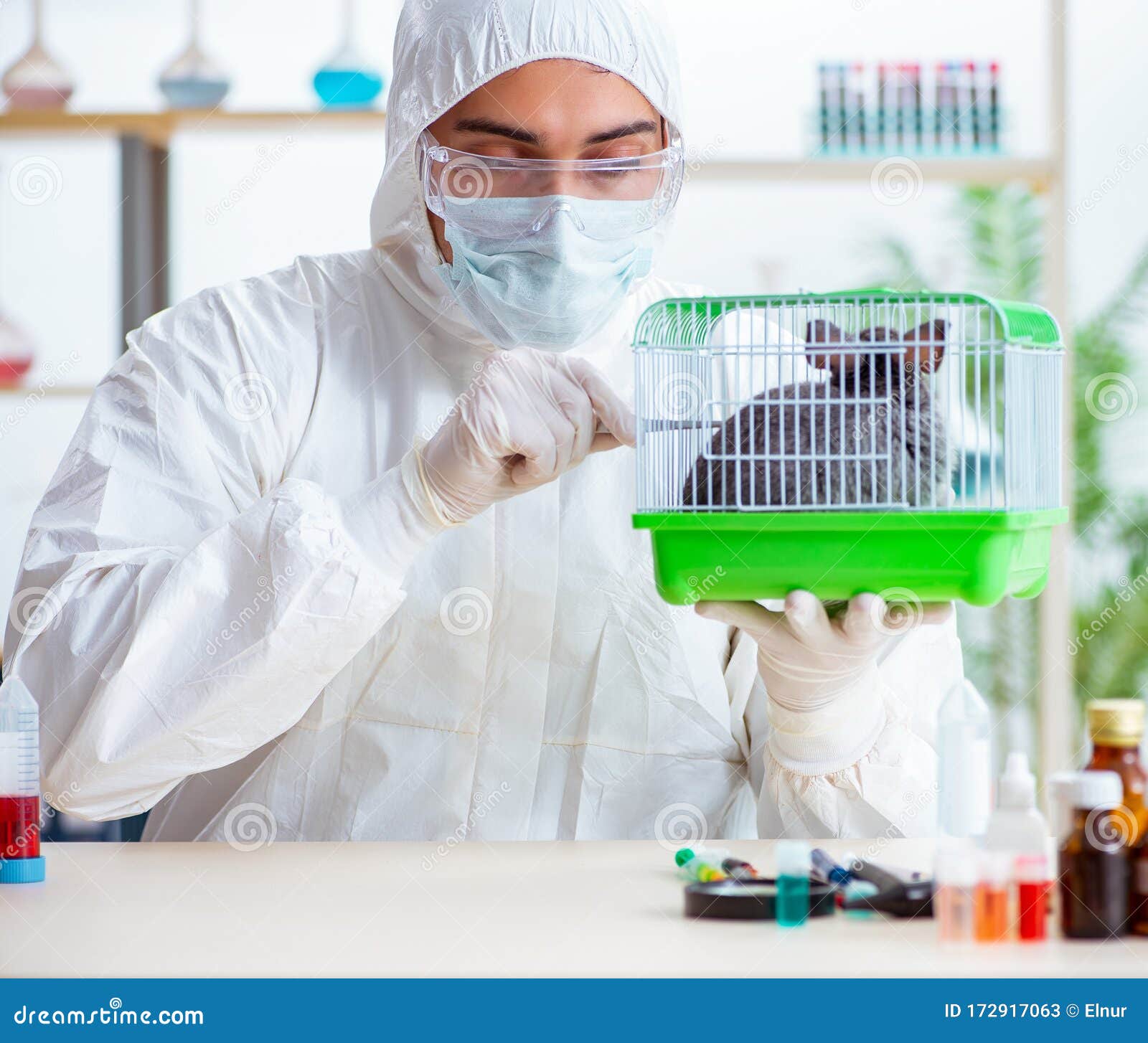 Scientist Doing Testing on Animals Rabbit Stock Image - Image of ...