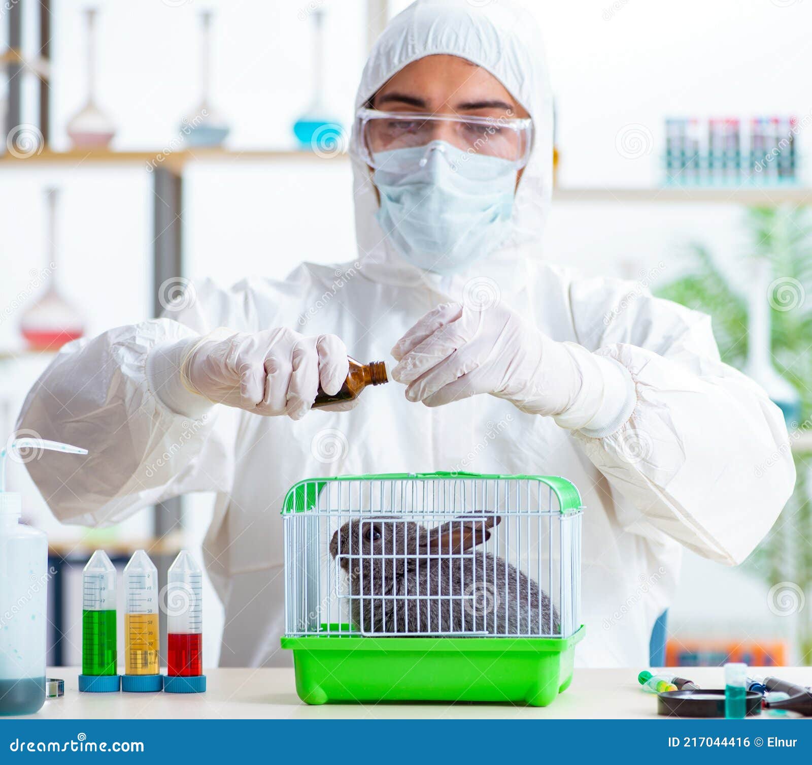Scientist Doing Testing on Animals Rabbit Stock Photo - Image of ...