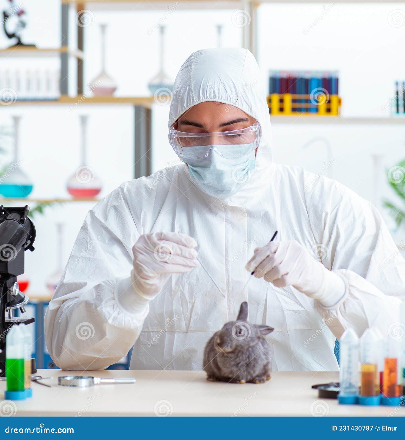 Scientist Doing Testing on Animals Rabbit Stock Image - Image of ...