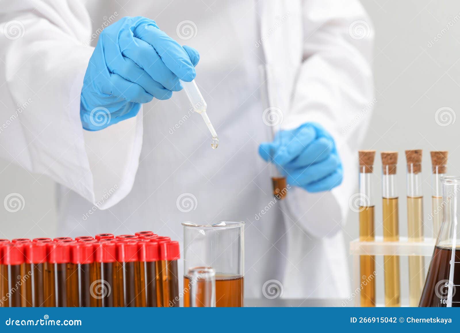 Scientist Dripping Liquid From Pipette Into Petri Dish In Laboratory ...