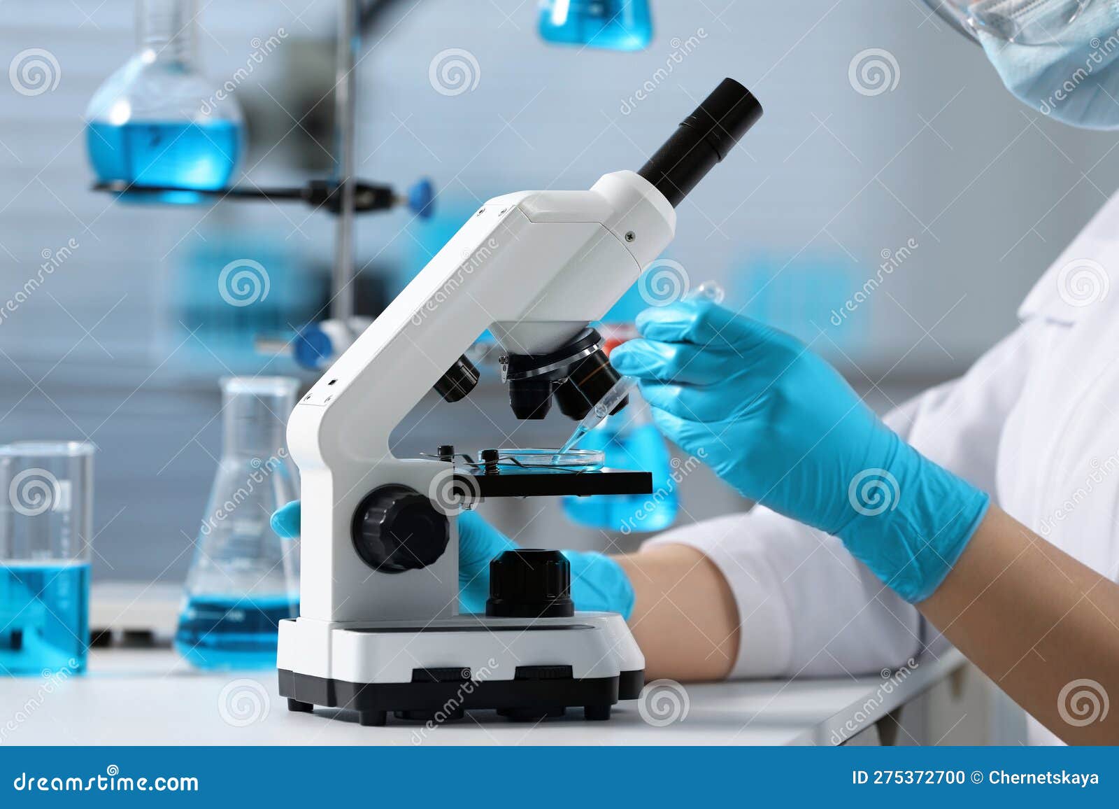 Scientist Dripping Sample Onto Petri Dish while Working with Microscope ...