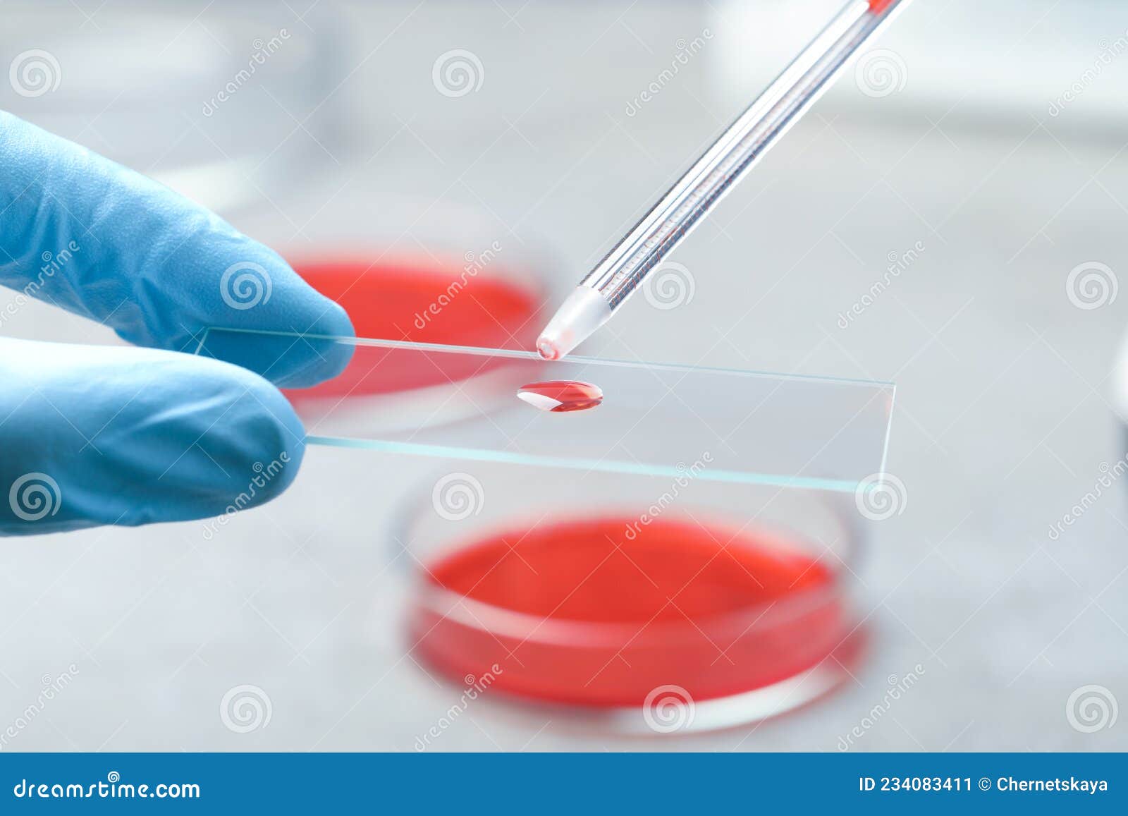 Scientist Dripping Sample of Red Liquid Onto Microscope Slide in ...