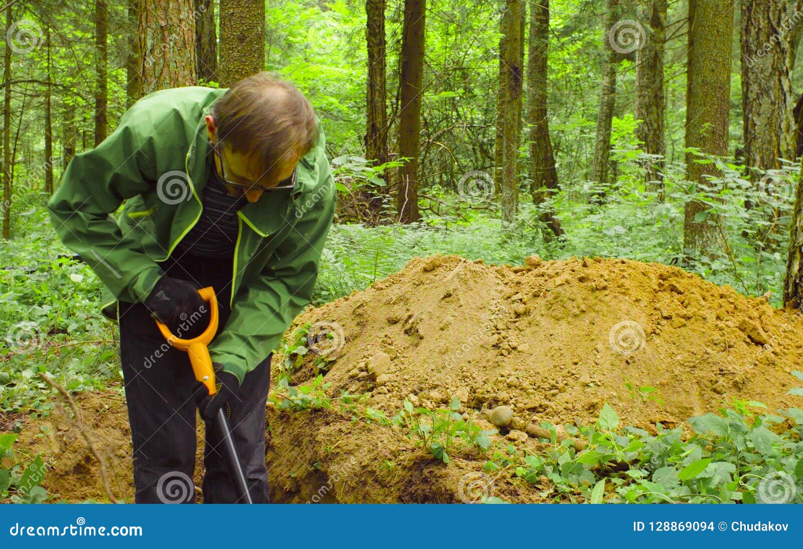 Scientist Ecologist in a Forest Digging Soil Slit Stock Photo - Image ...