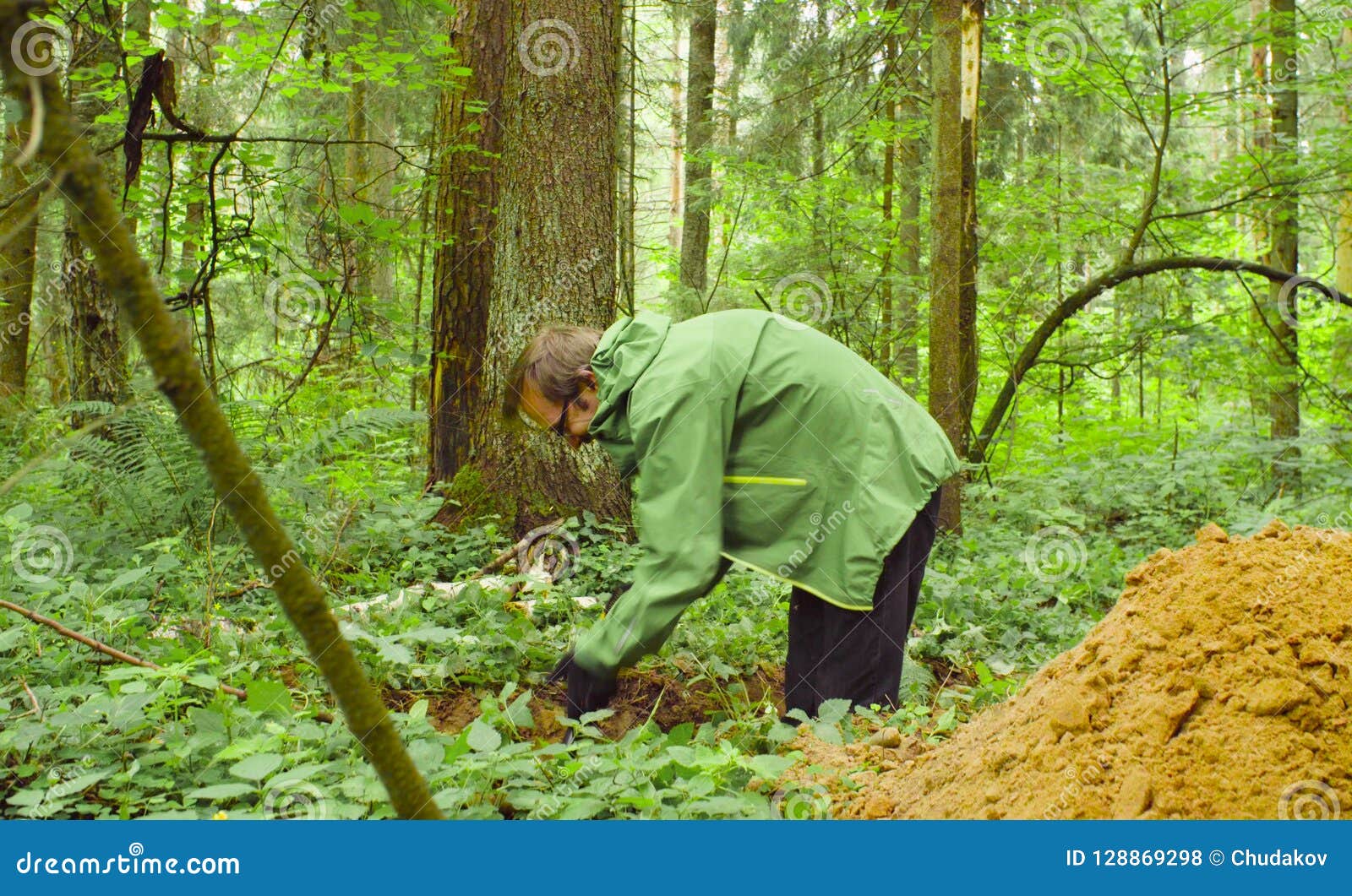 Scientist Ecologist in a Forest Digging Soil Slit Stock Photo - Image ...