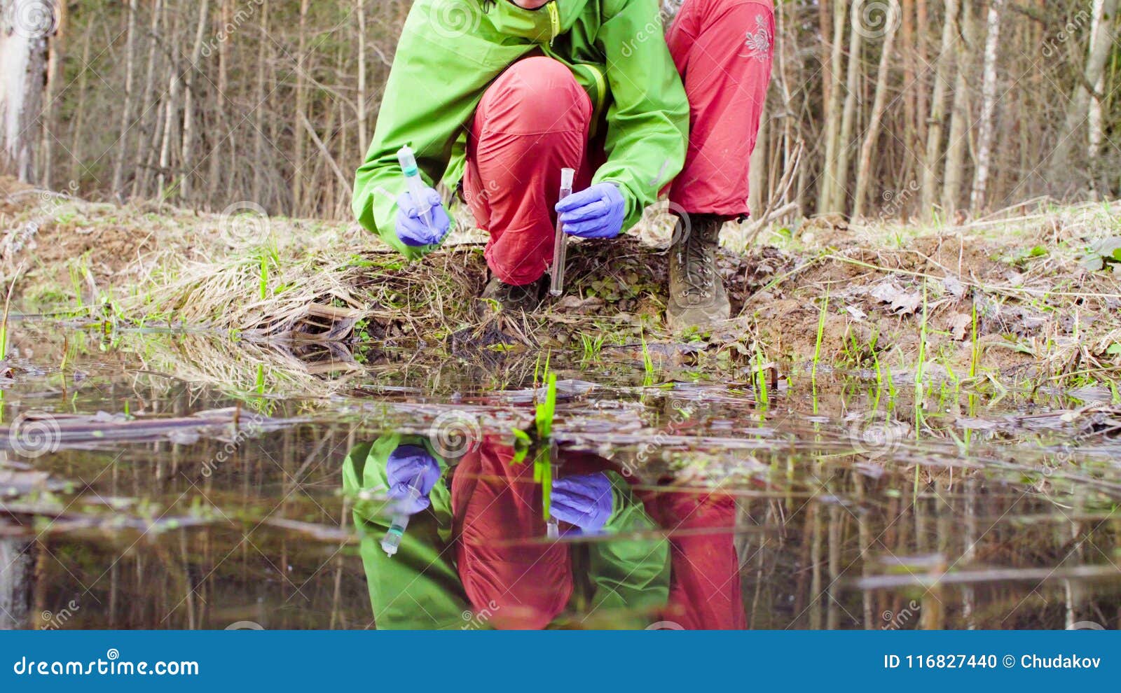 Scientist Ecologist in the Forest Taking Samples of Water Stock Photo ...