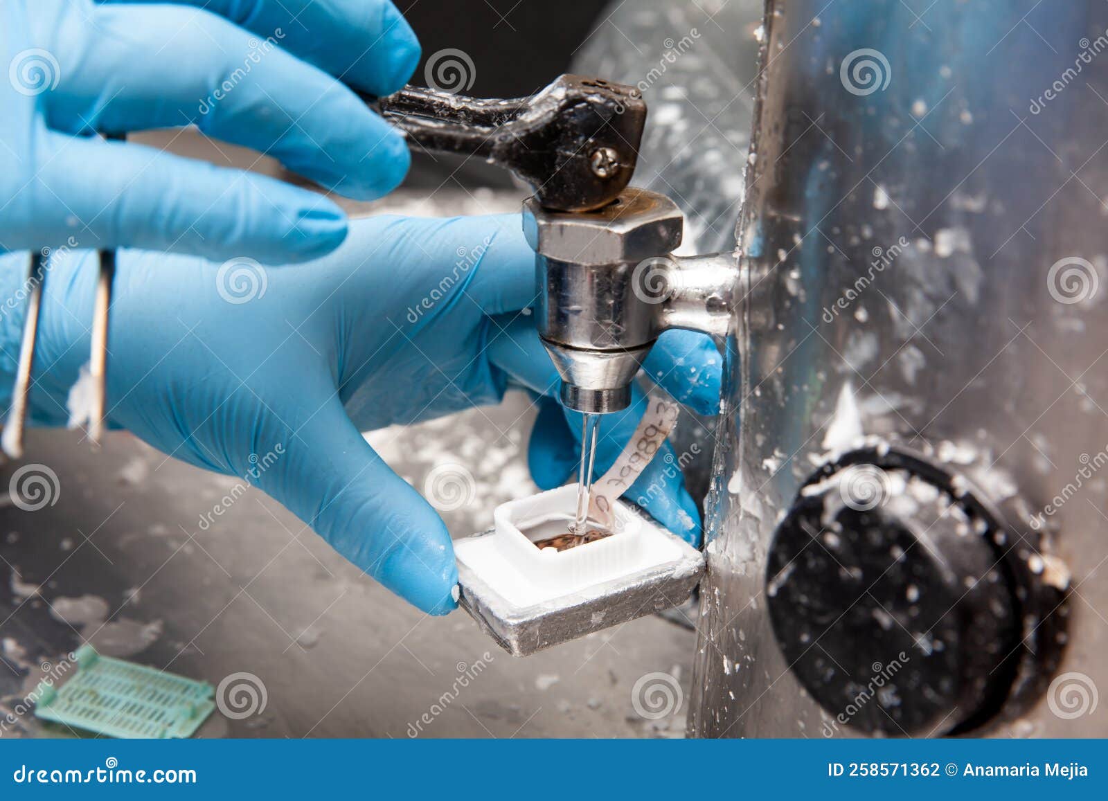 Scientist Embedding Tissues in Paraffin Blocks for Sectioning Using a ... Scientist Embedding Tissues in Paraffin Blocks for Sectioning Using a ...