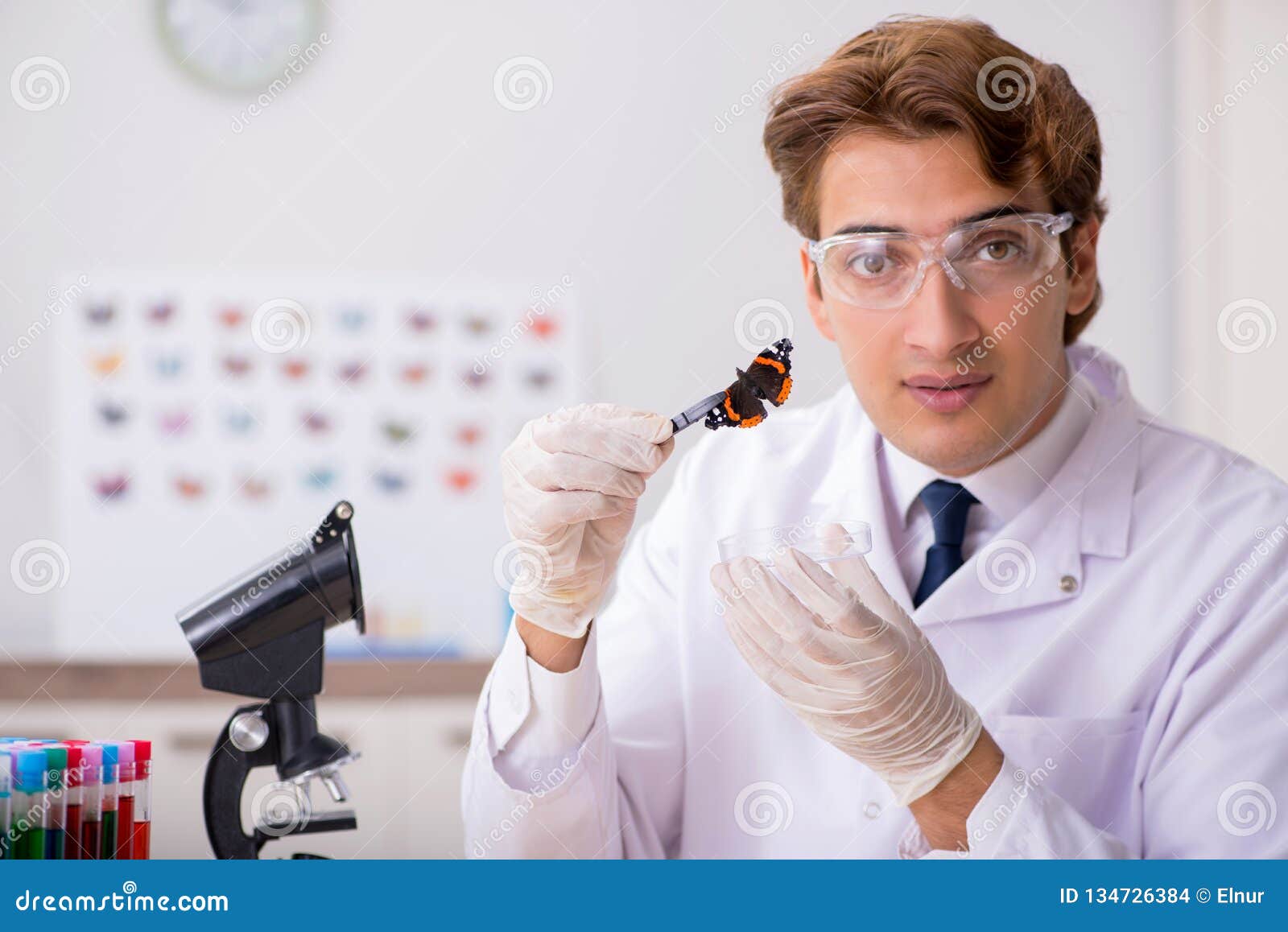 The Scientist Entomologist Studying New Butterfly Species Stock Photo ...