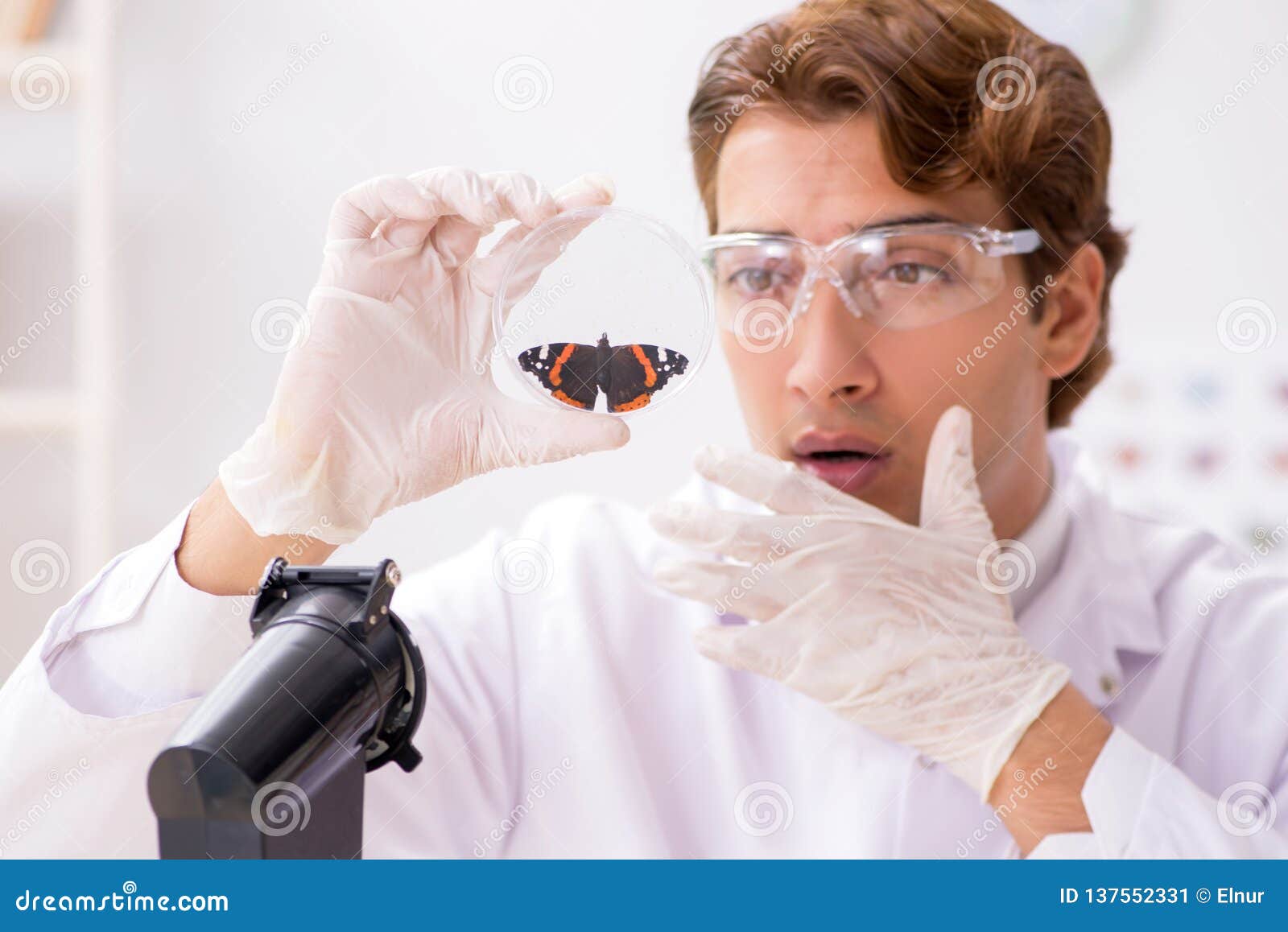 The Scientist Entomologist Studying New Butterfly Species Stock Image ...