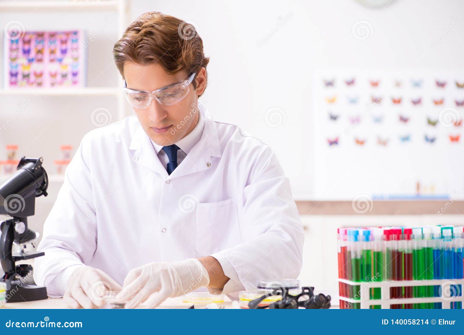 The Scientist Entomologist Studying New Butterfly Species Stock Photo ...