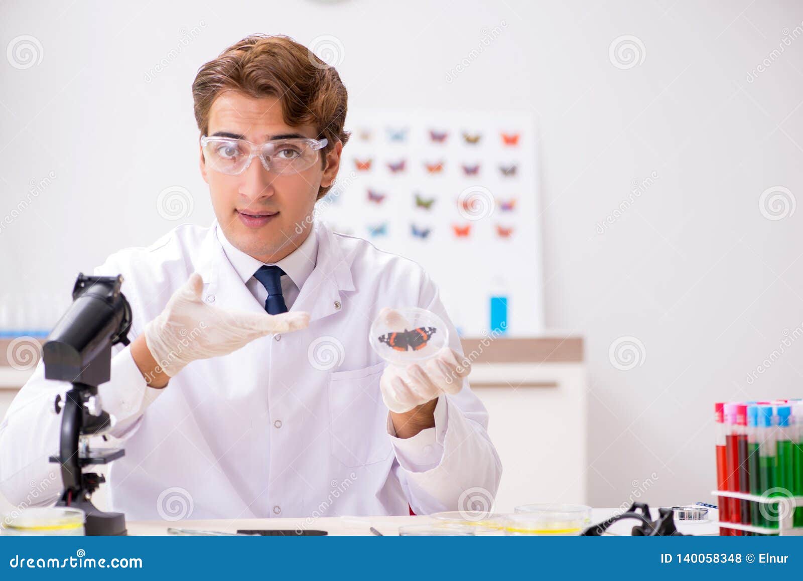 The Scientist Entomologist Studying New Butterfly Species Stock Photo ...