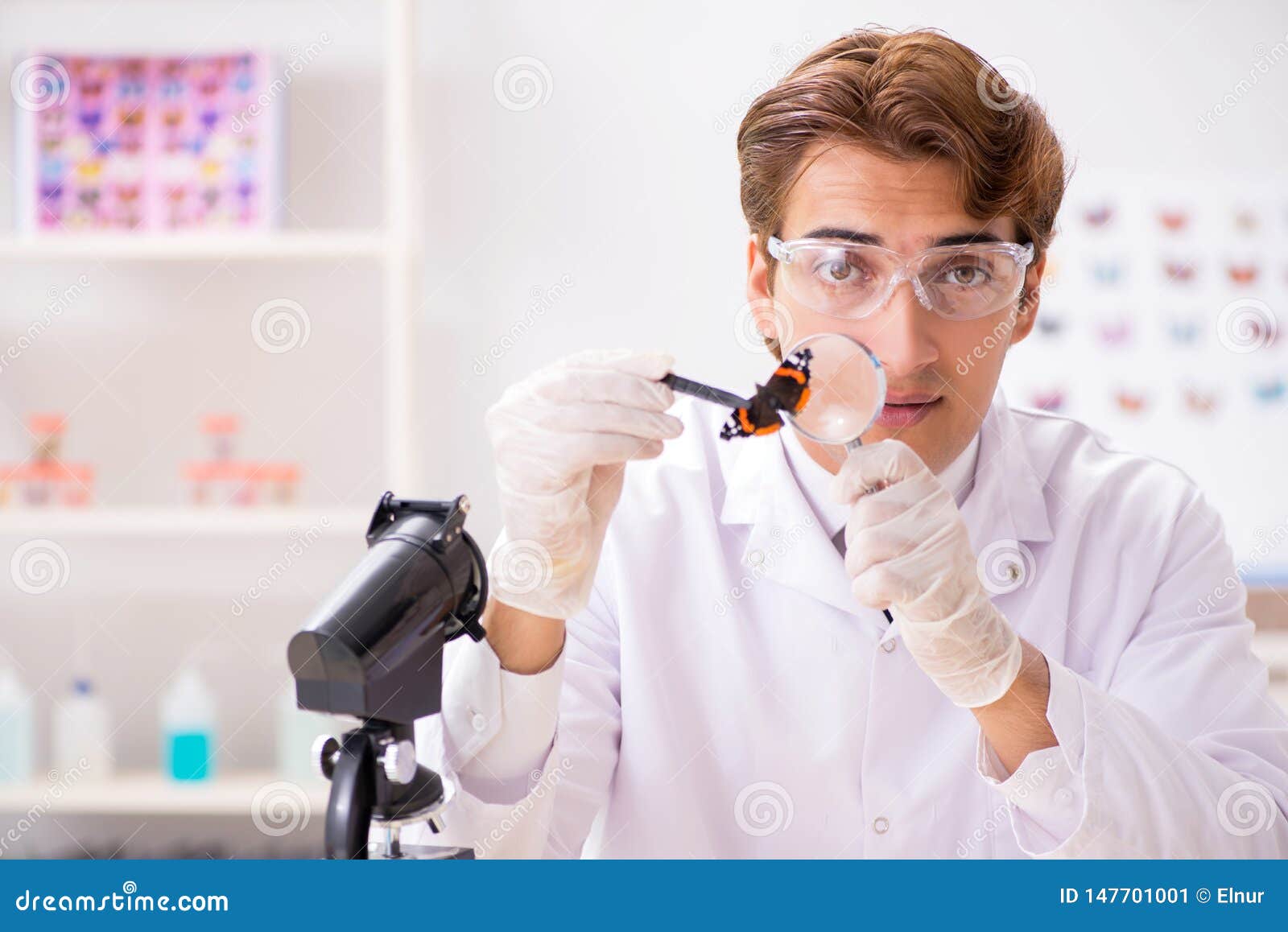 The Scientist Entomologist Studying New Butterfly Species Stock Image ...