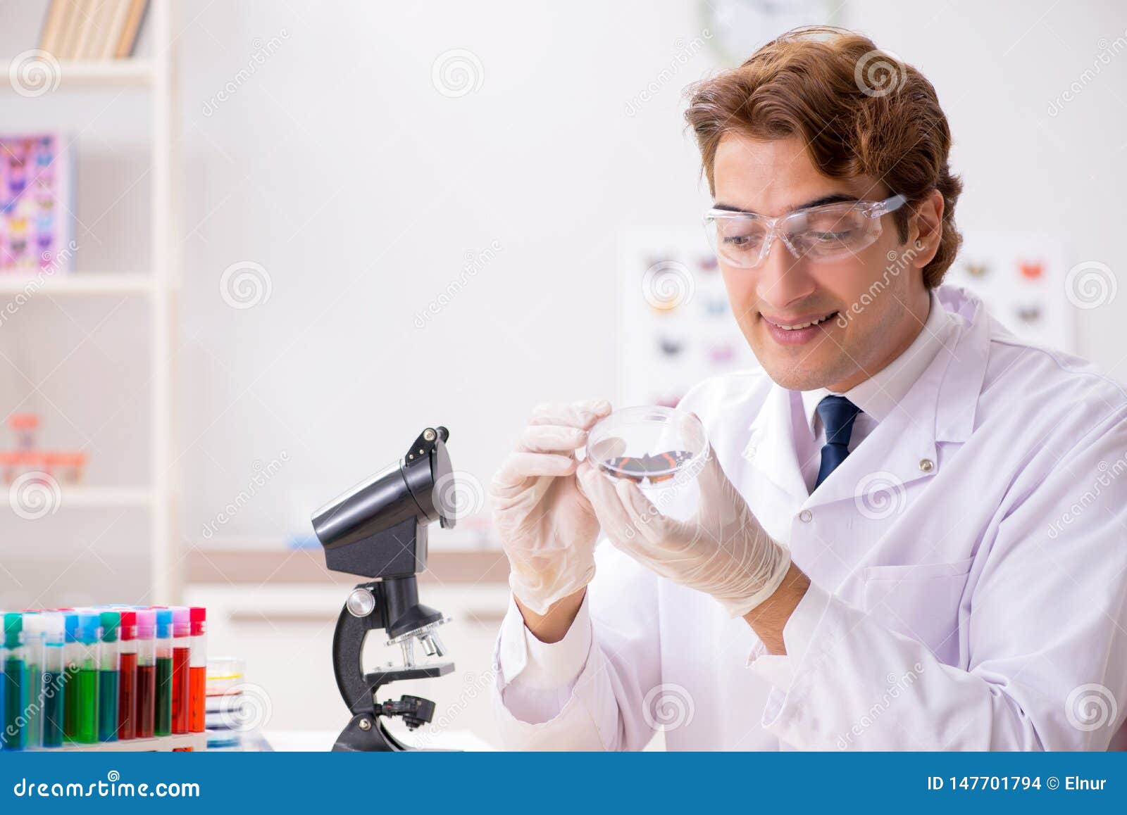 The Scientist Entomologist Studying New Butterfly Species Stock Photo ...
