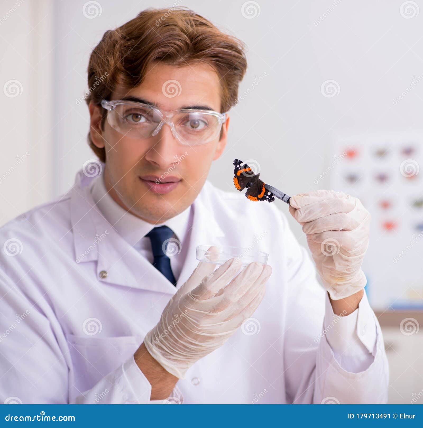 Scientist Entomologist Studying New Butterfly Species Stock Image ...