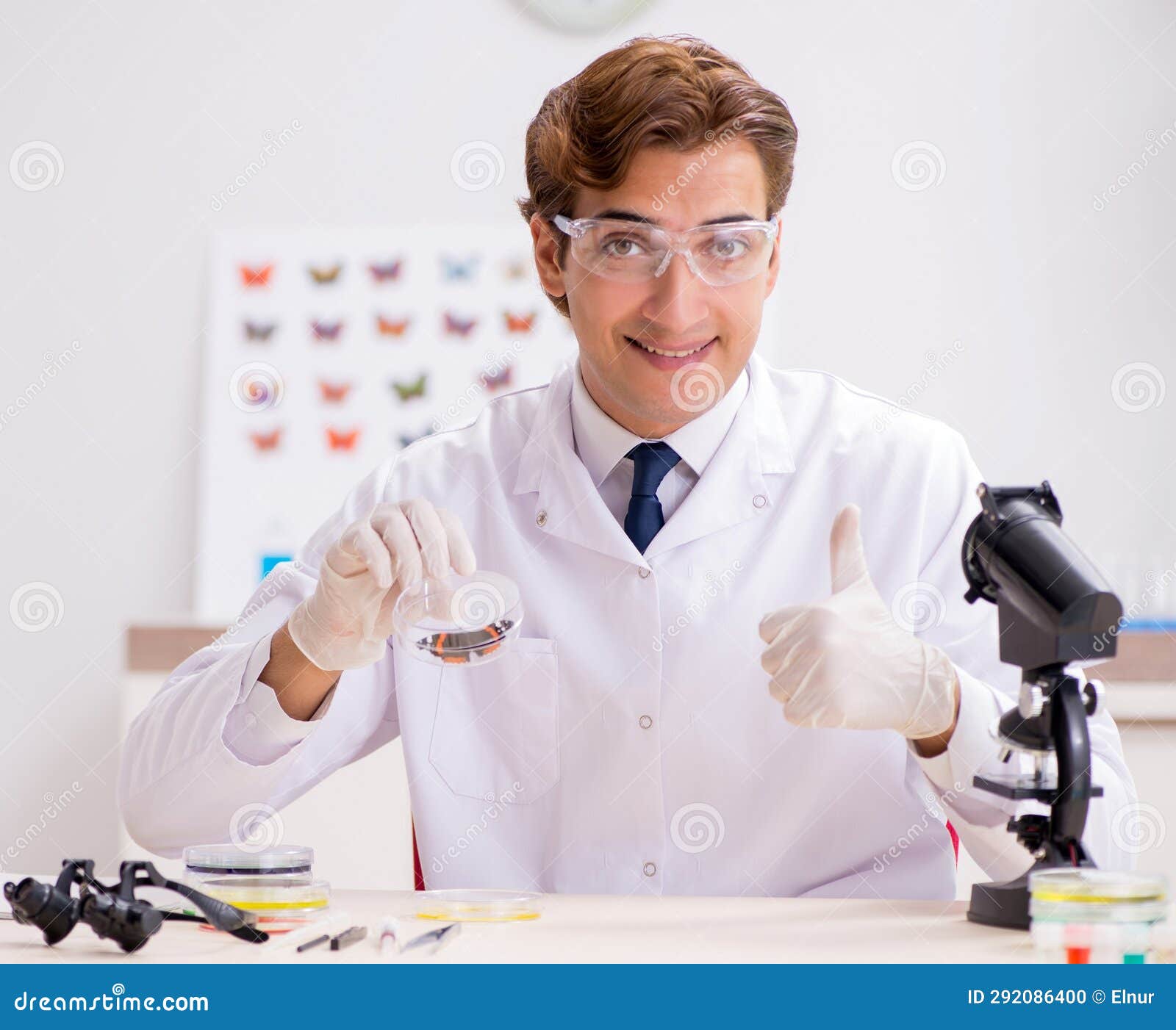 Scientist Entomologist Studying New Butterfly Species Stock Photo ...