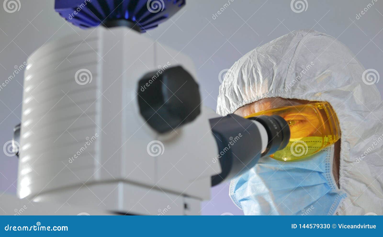 Scientist Examines a Sample of Bacteria Under the Microscope. Stock ...