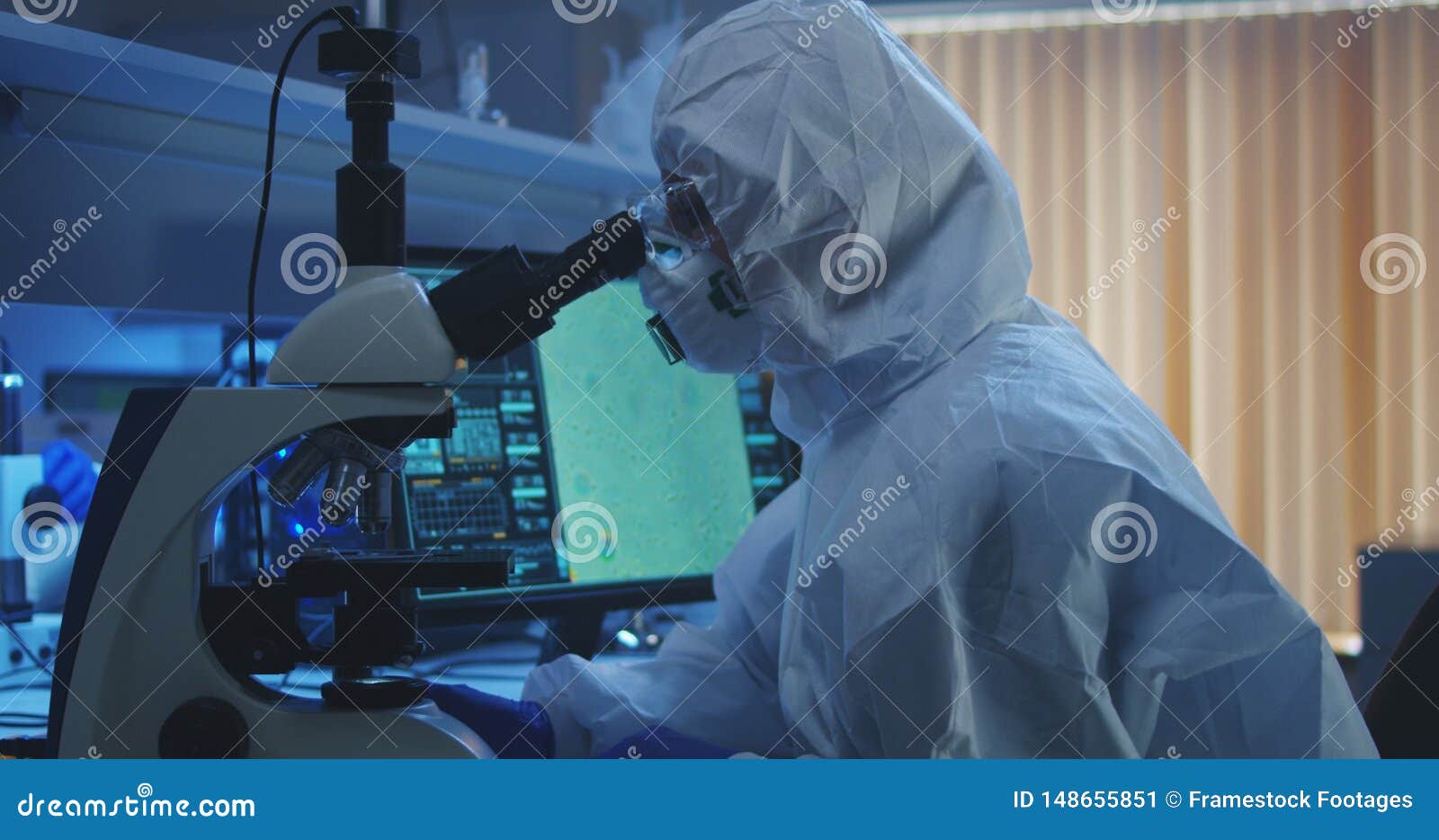 Scientist Examining Bacteria with Microscope Stock Image - Image of ...