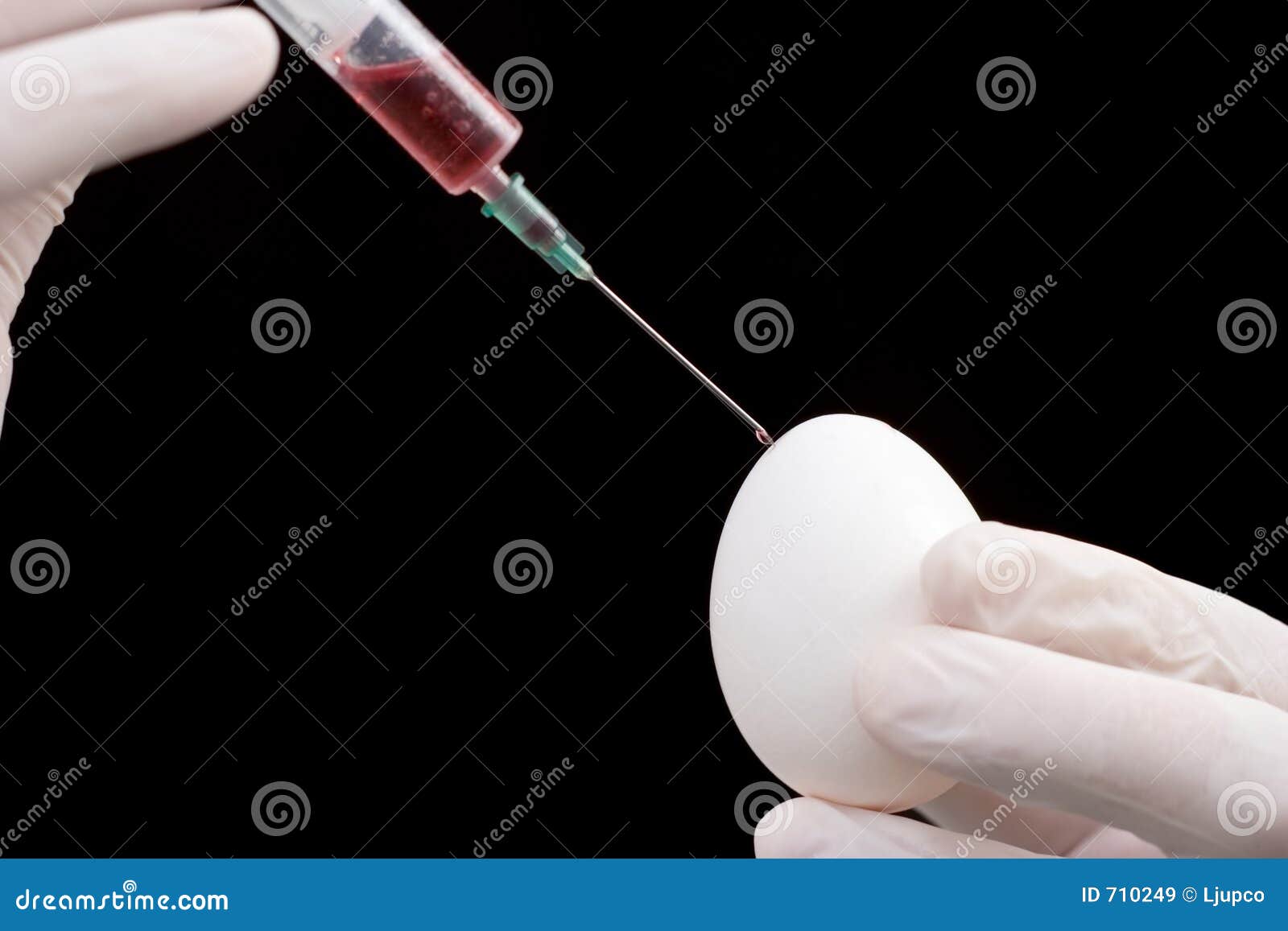 Scientist examining an egg stock image. Image of biochemistry - 710249