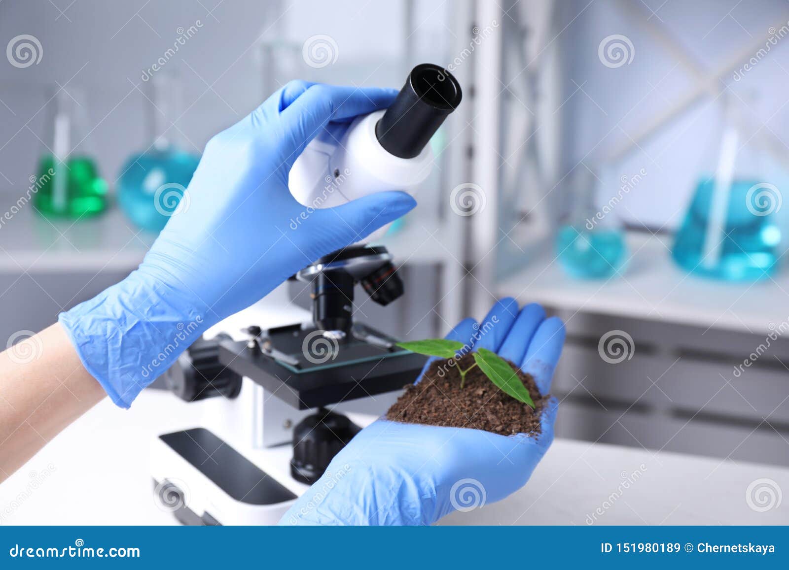 Scientist Examining Green Plant with Microscope in Laboratory, Closeup ...
