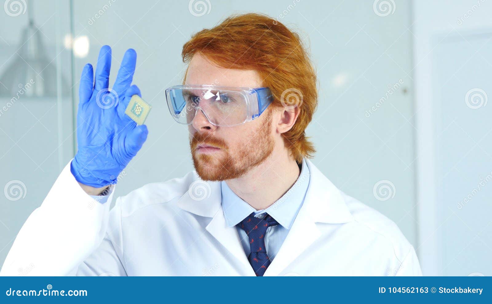 Scientist Examining, Looking on New Electronic Chip of Computer Stock ...