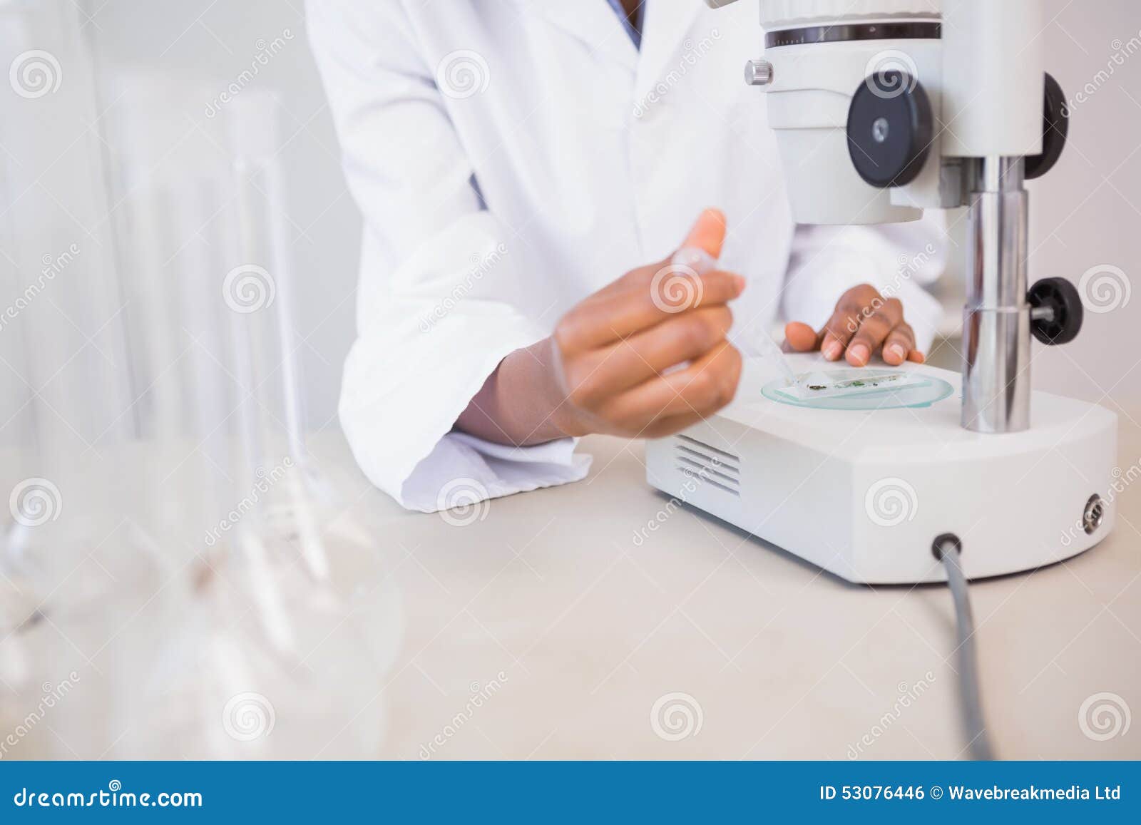 Scientist Examining Petri Dish Under Microscope Stock Photo - Image of ...