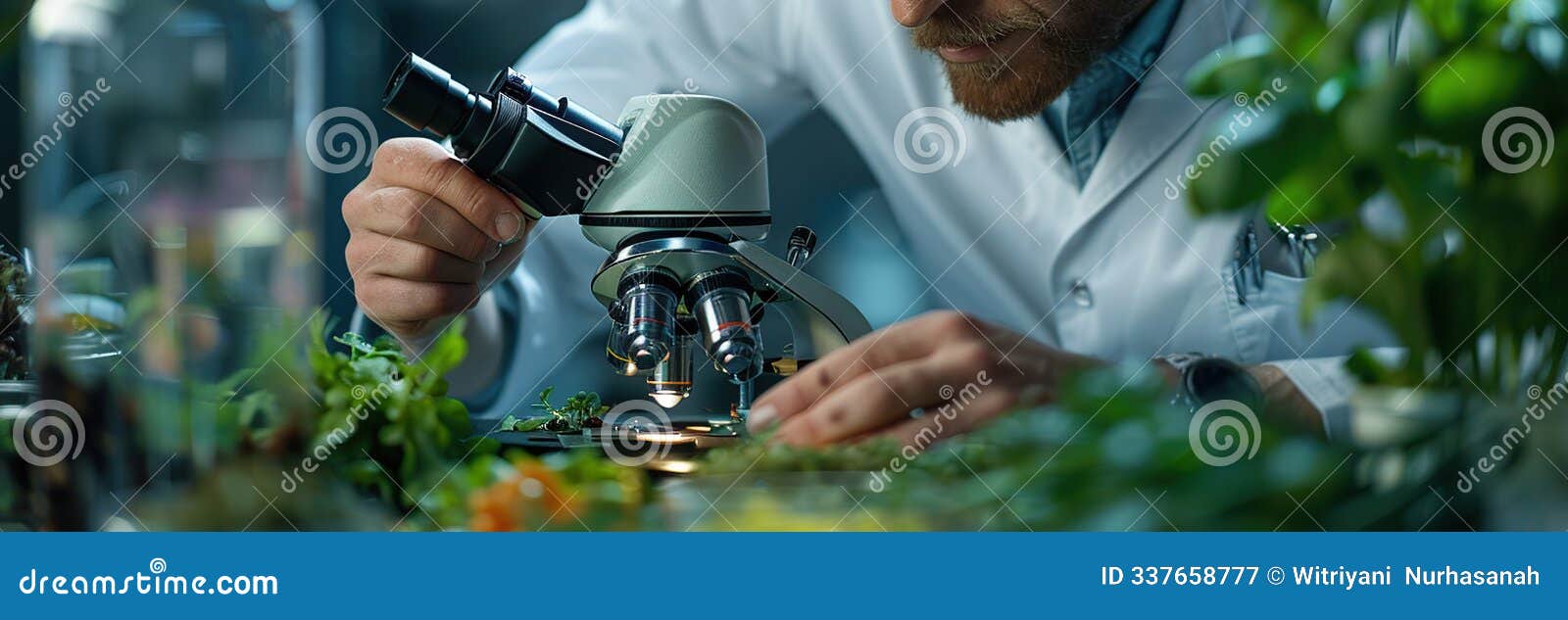 Scientist Examining Plant Specimen Under a Microscope Stock ...