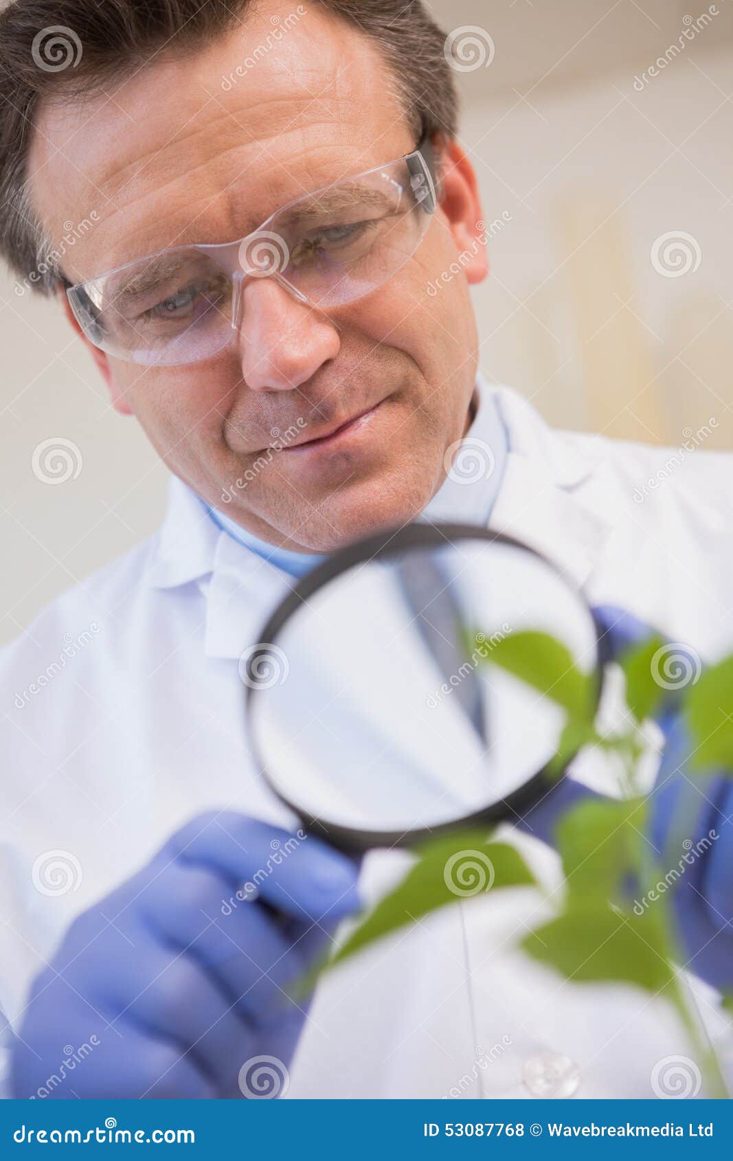 Scientist Examining Plants with Magnifying Glass Stock Photo - Image of ...