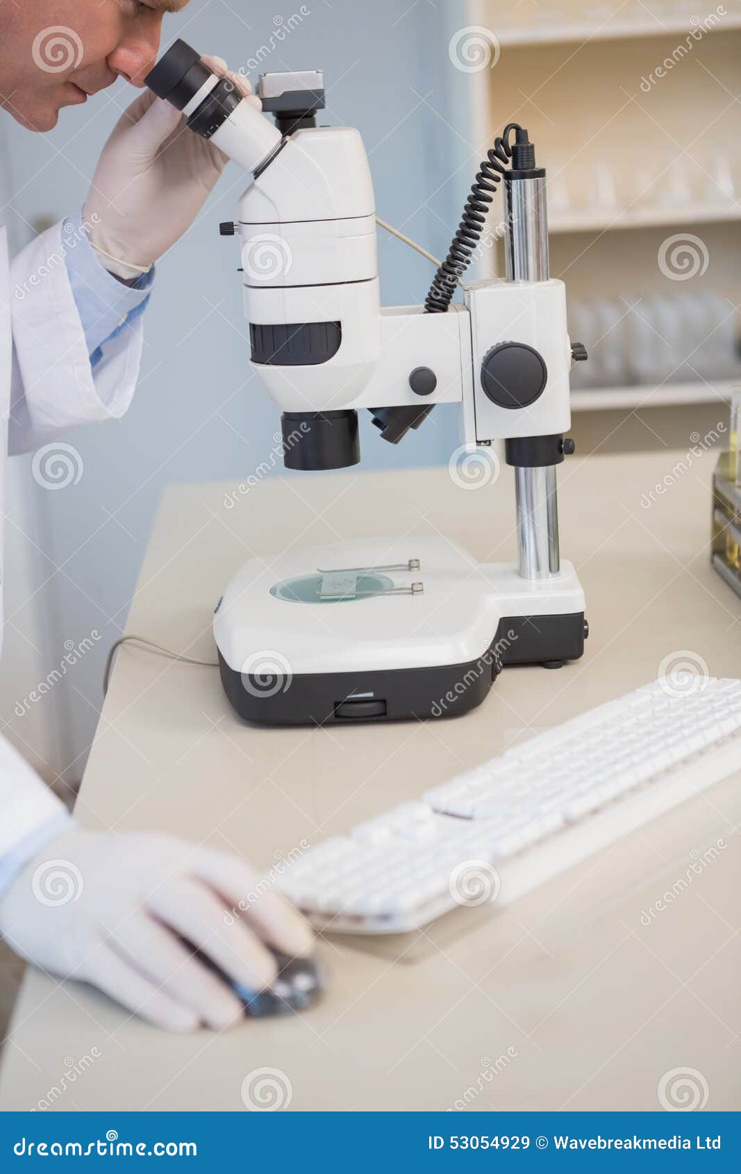 Scientist Examining Sample with Microscope Stock Image - Image of mouse ...