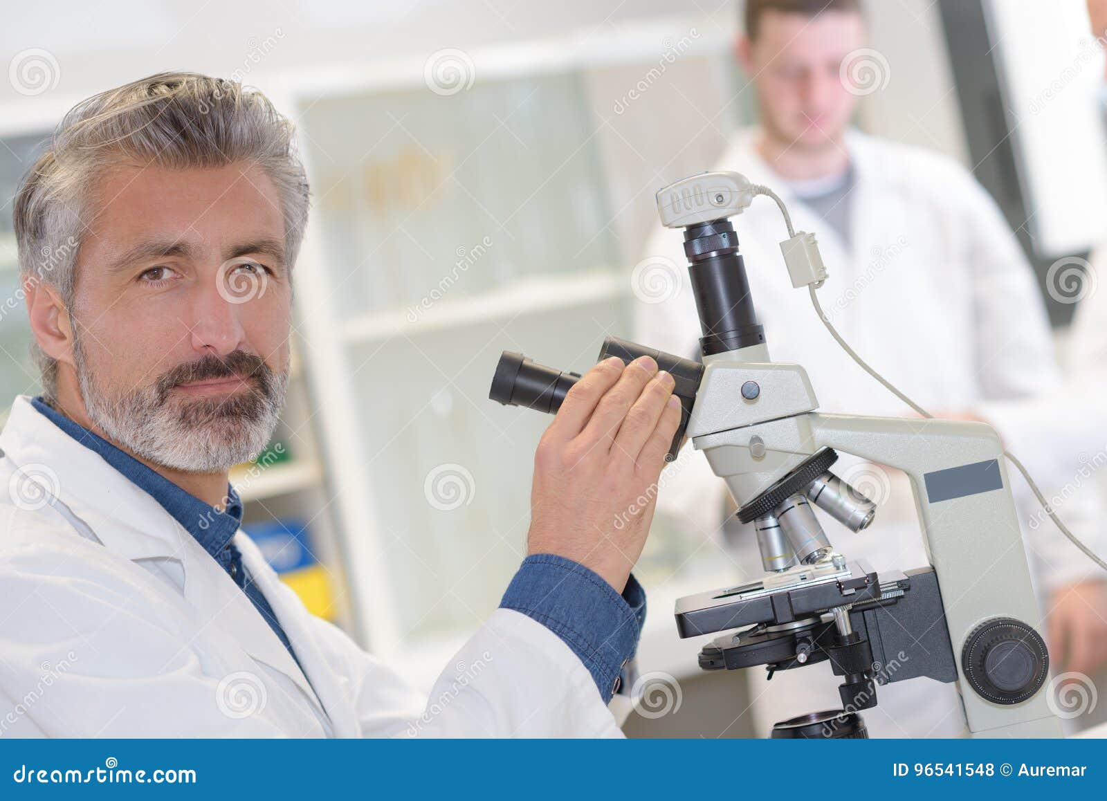 Scientist Examining Sample with Microscope in Laboratory Stock Photo ...