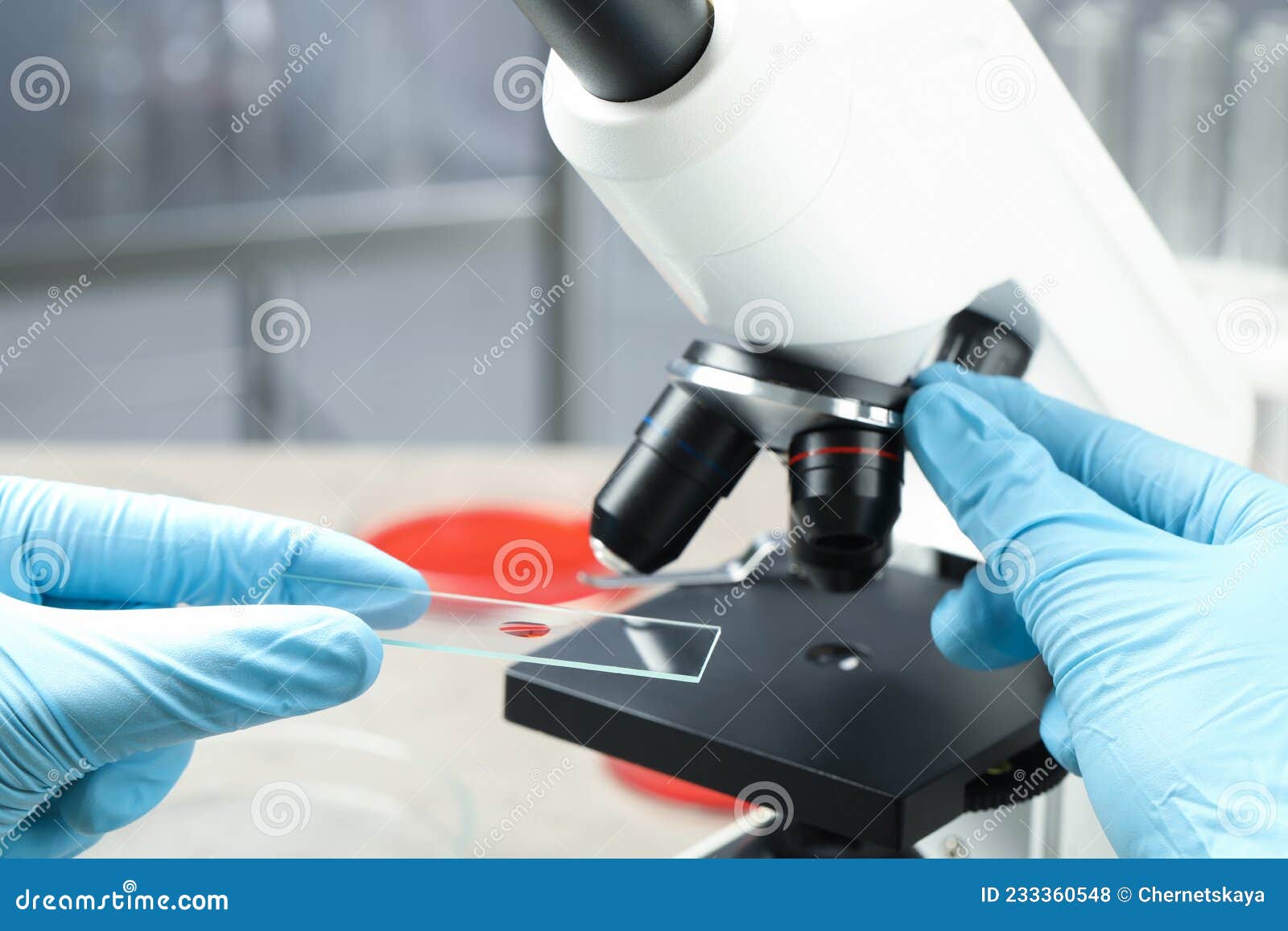 Scientist Examining Sample of Red Liquid on Slide Under Microscope in ...